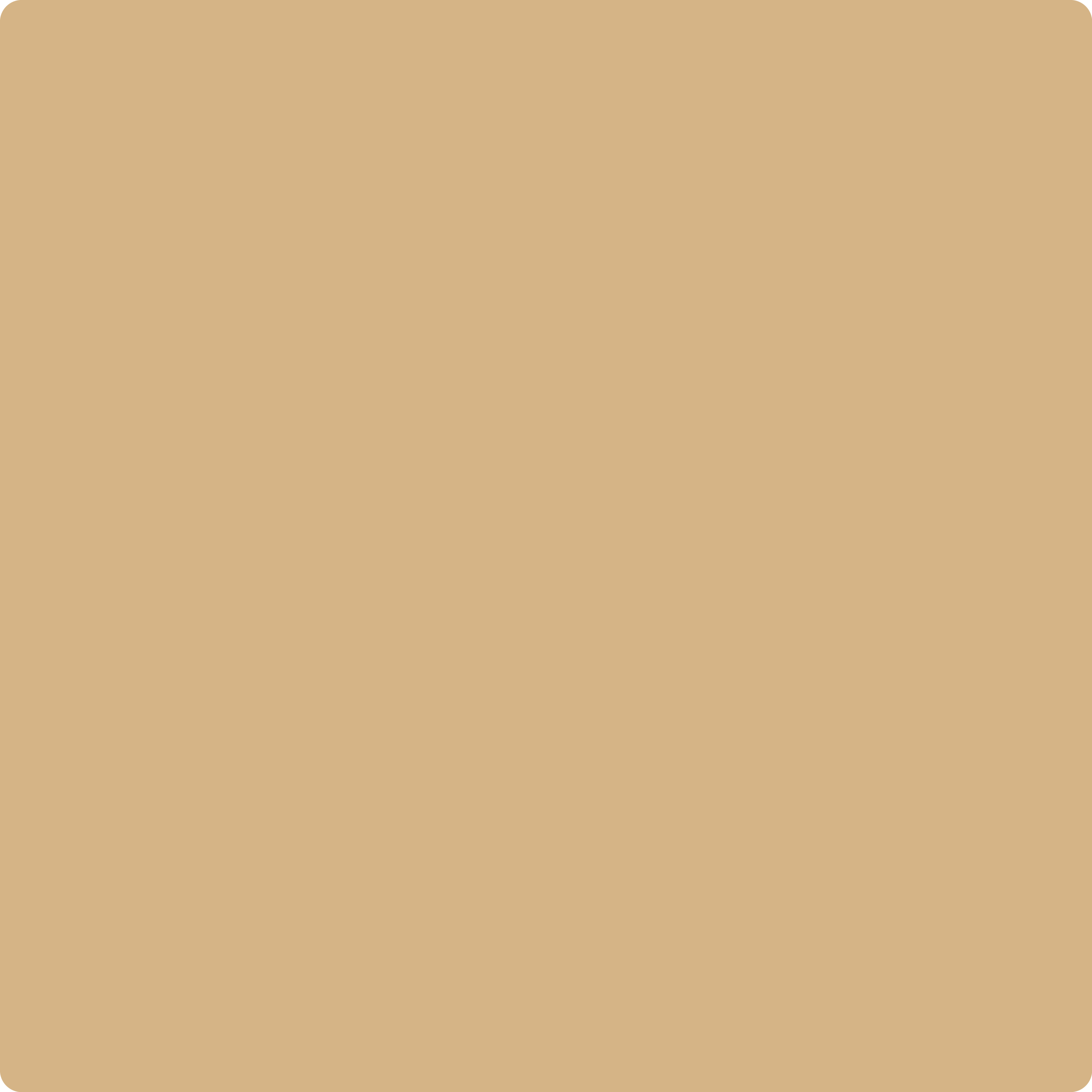 1110 Tawny Bisque by Benjamin Moore | The Color House