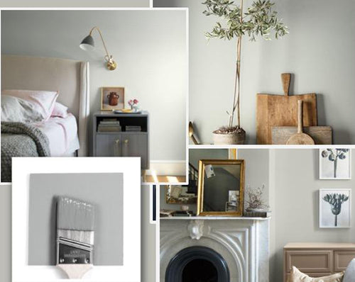 Who Doesn’t Love a Silver Fox? Color of the Year 2019 – The Color House