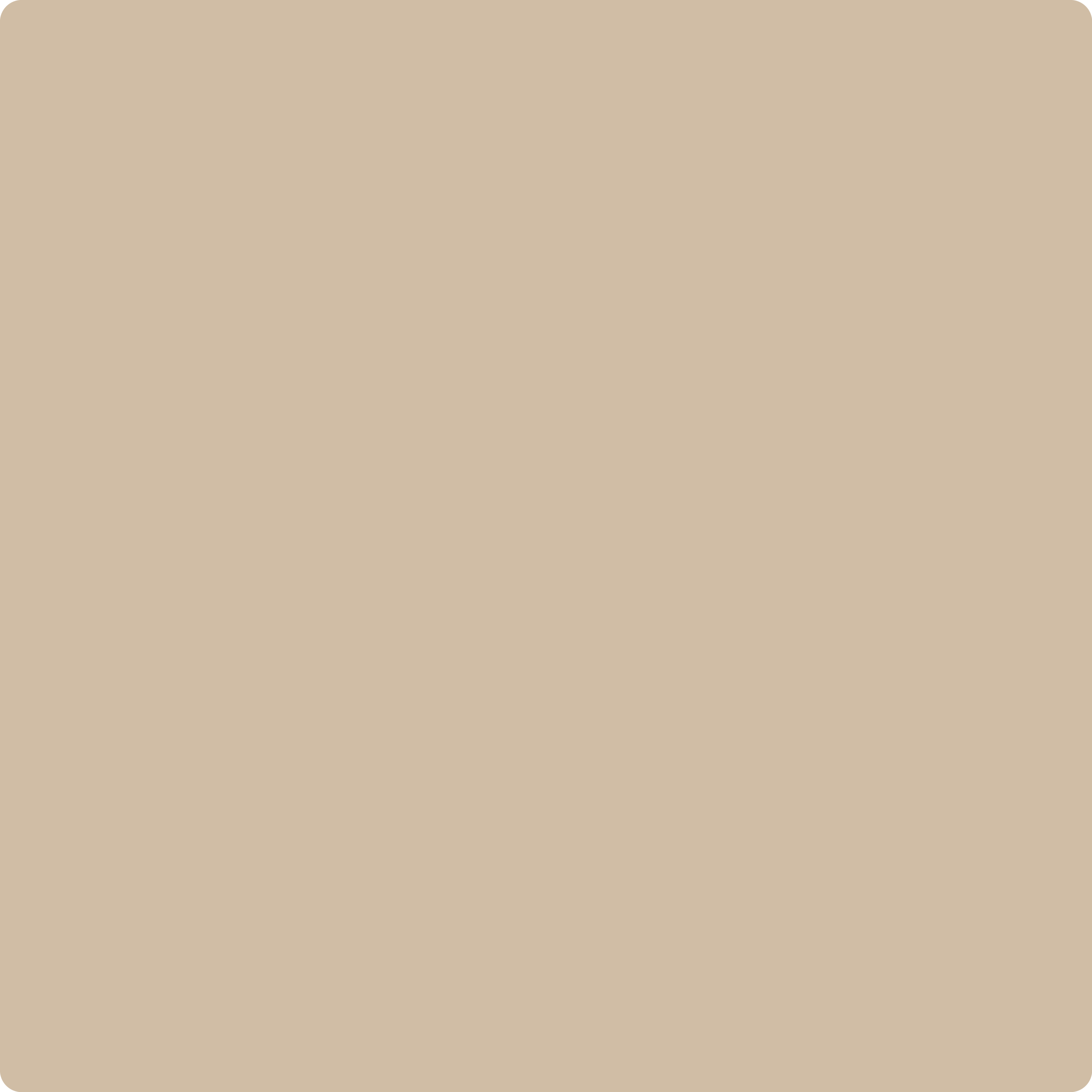 Benjamin Moore's 1032 Bar Harbour Beige| The Color House