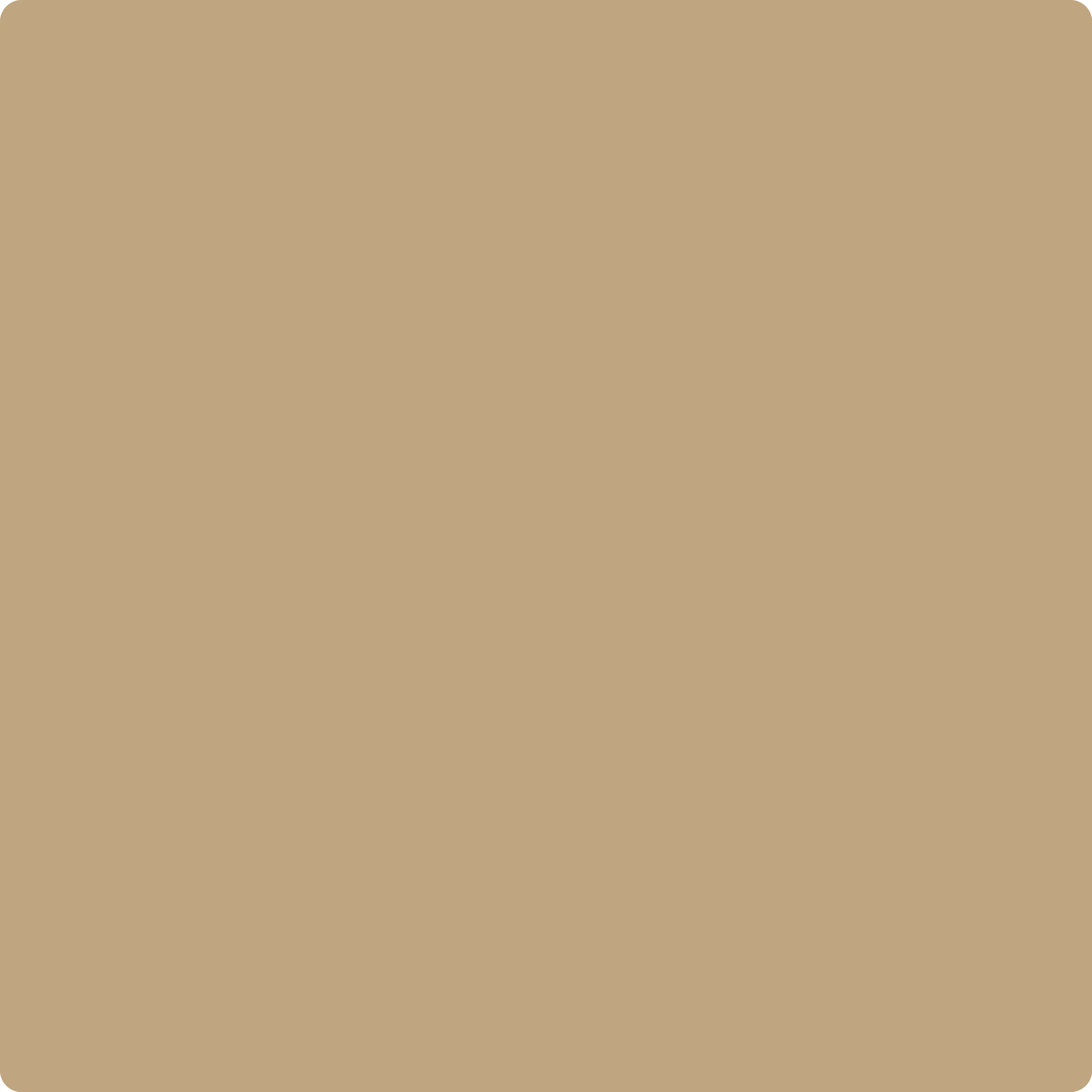 Benjamin Moore's 1040 Spice Gold| The Color House