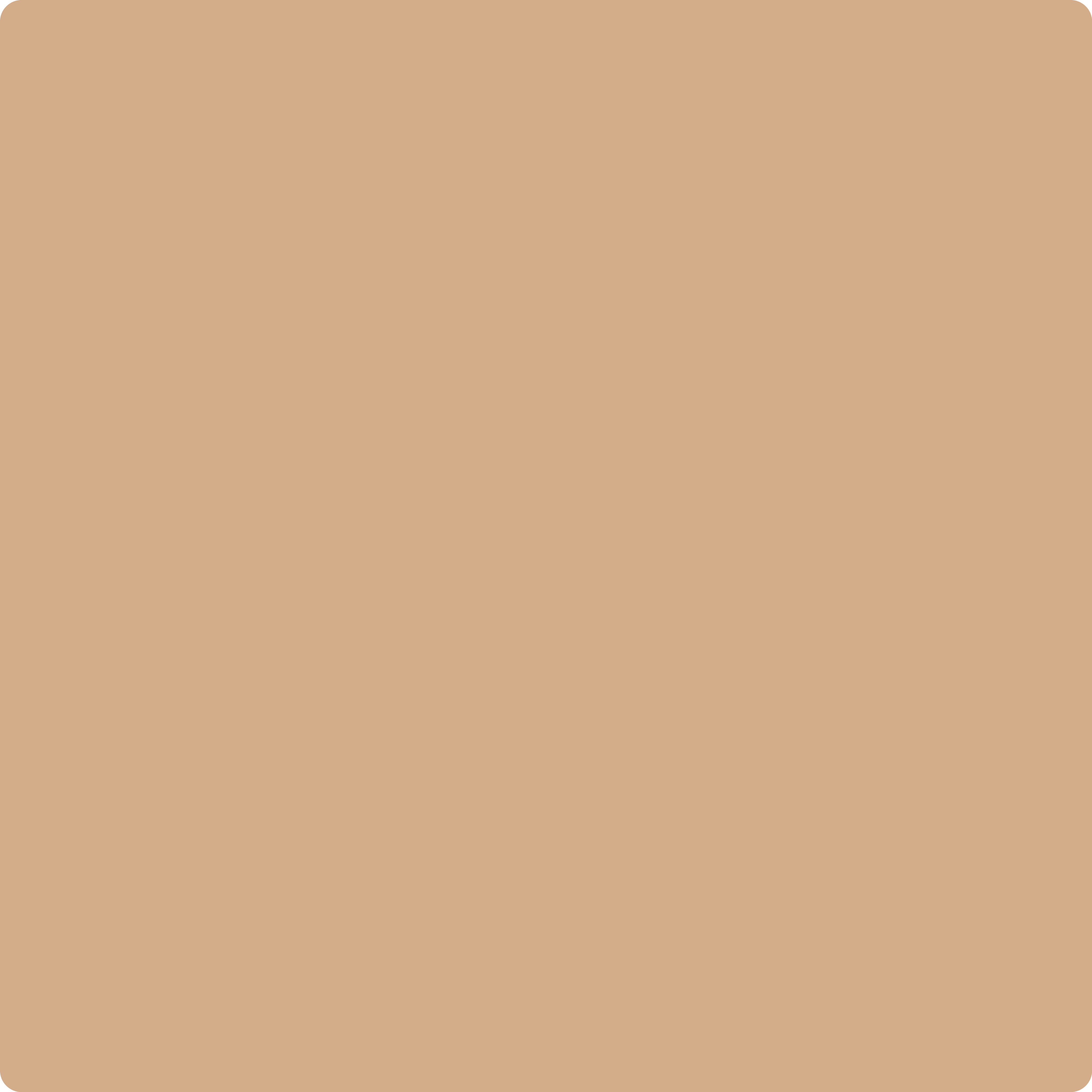 1138 Toffee Cream by Benjamin Moore | The Color House