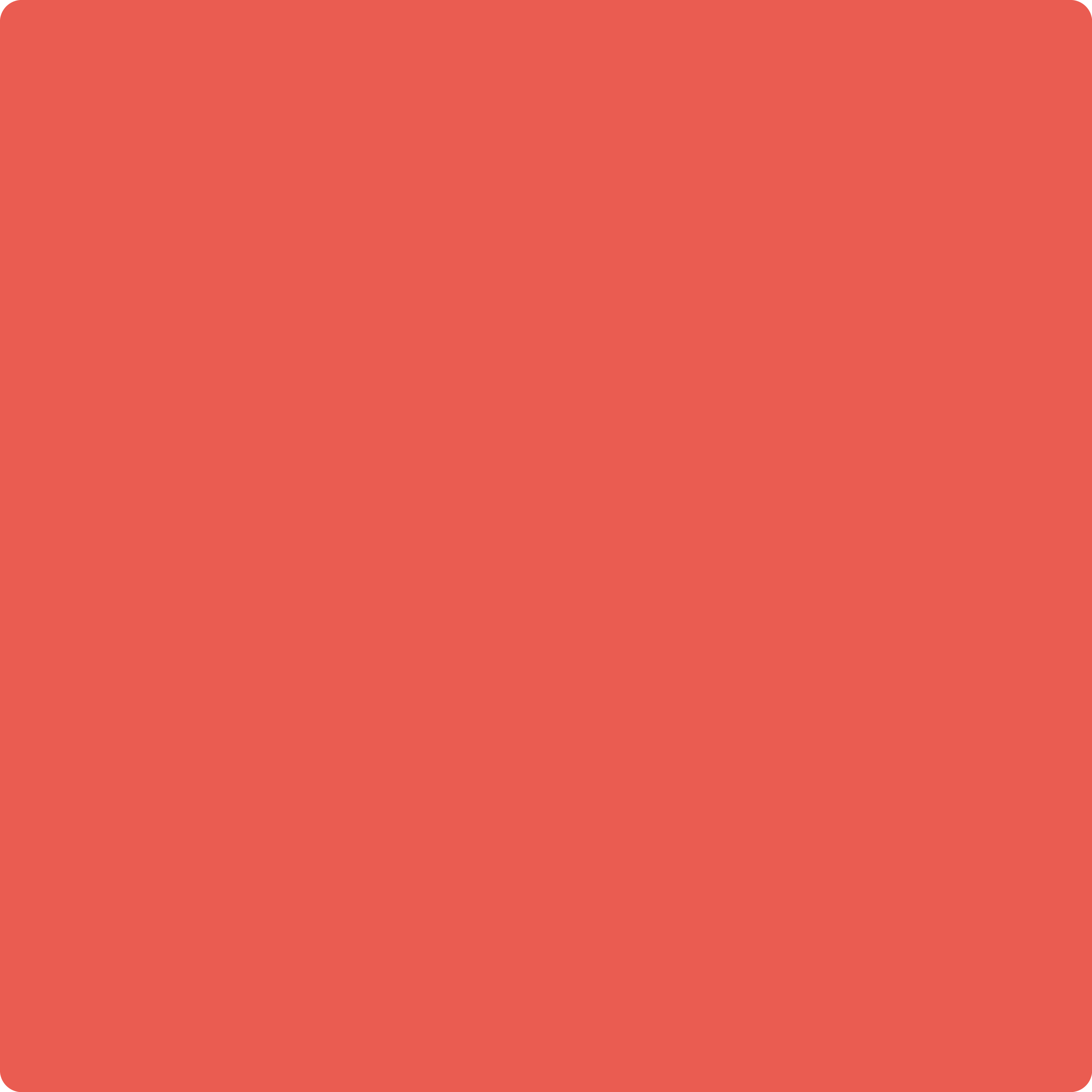Benjamin Moore's 2009-30 Dark Salmon| The Color House