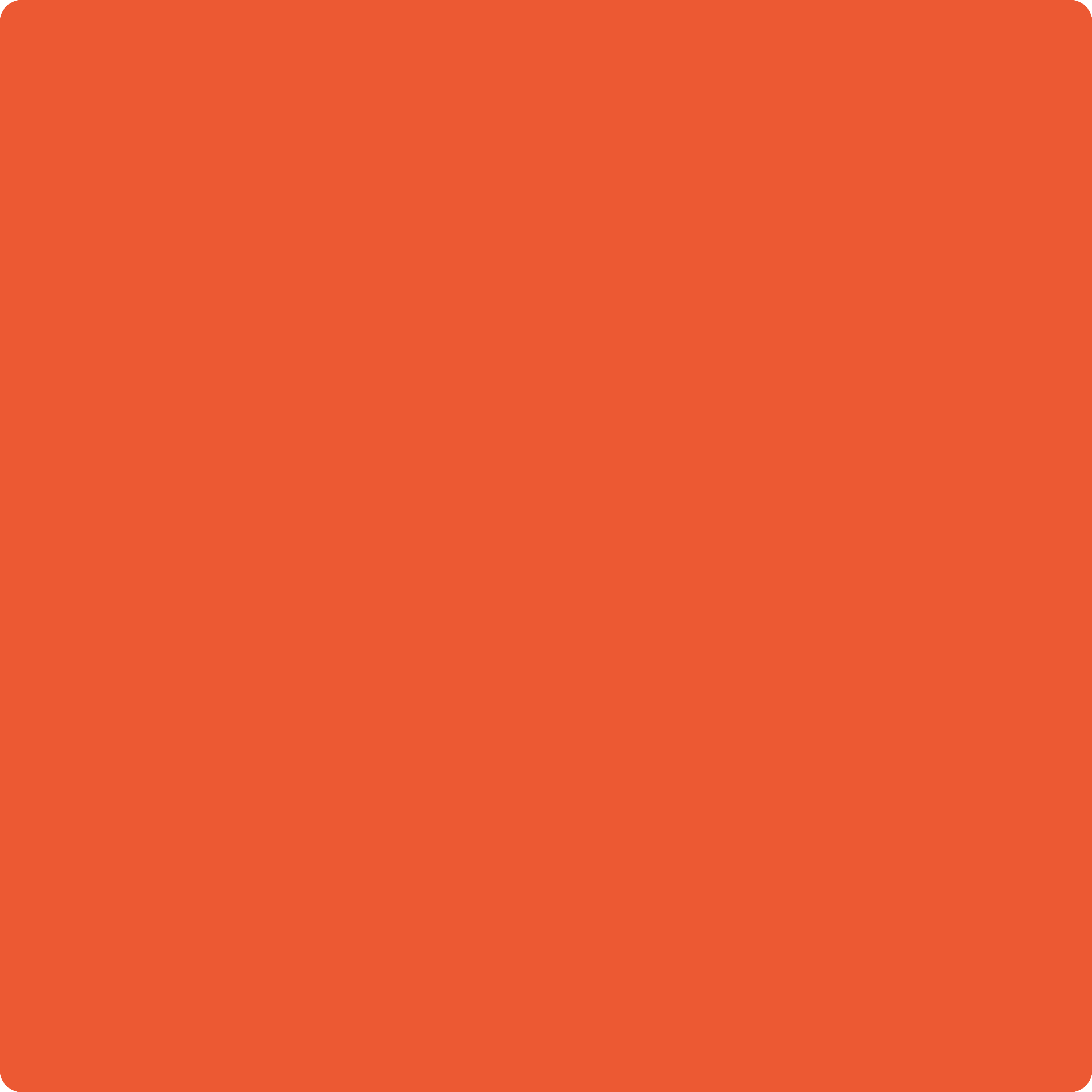 Benjamin Moore's 2013-20 Orange Nectar| The Color House