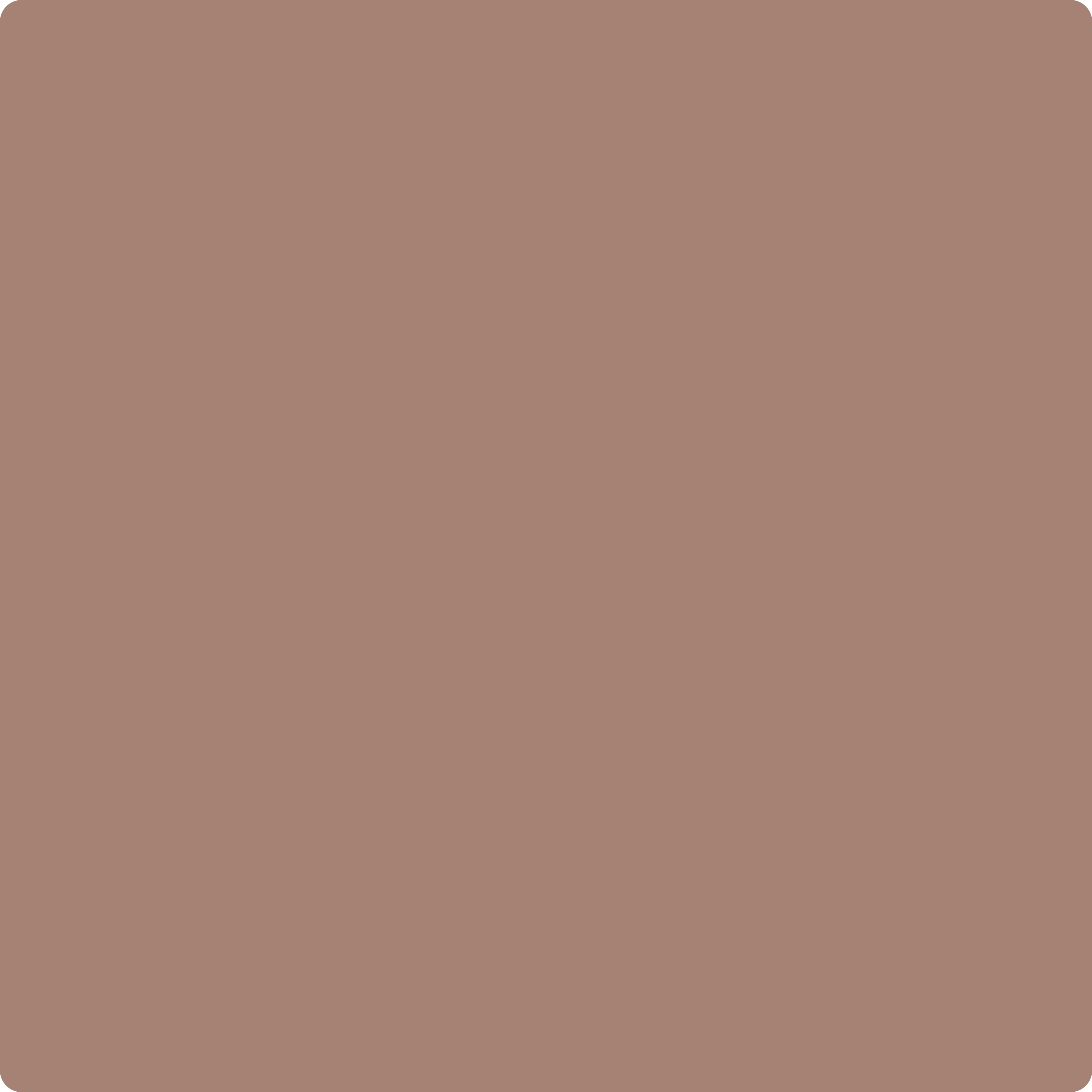 Benjamin Moore's 2095-40 Mudslide| The Color House – thecolorhouse