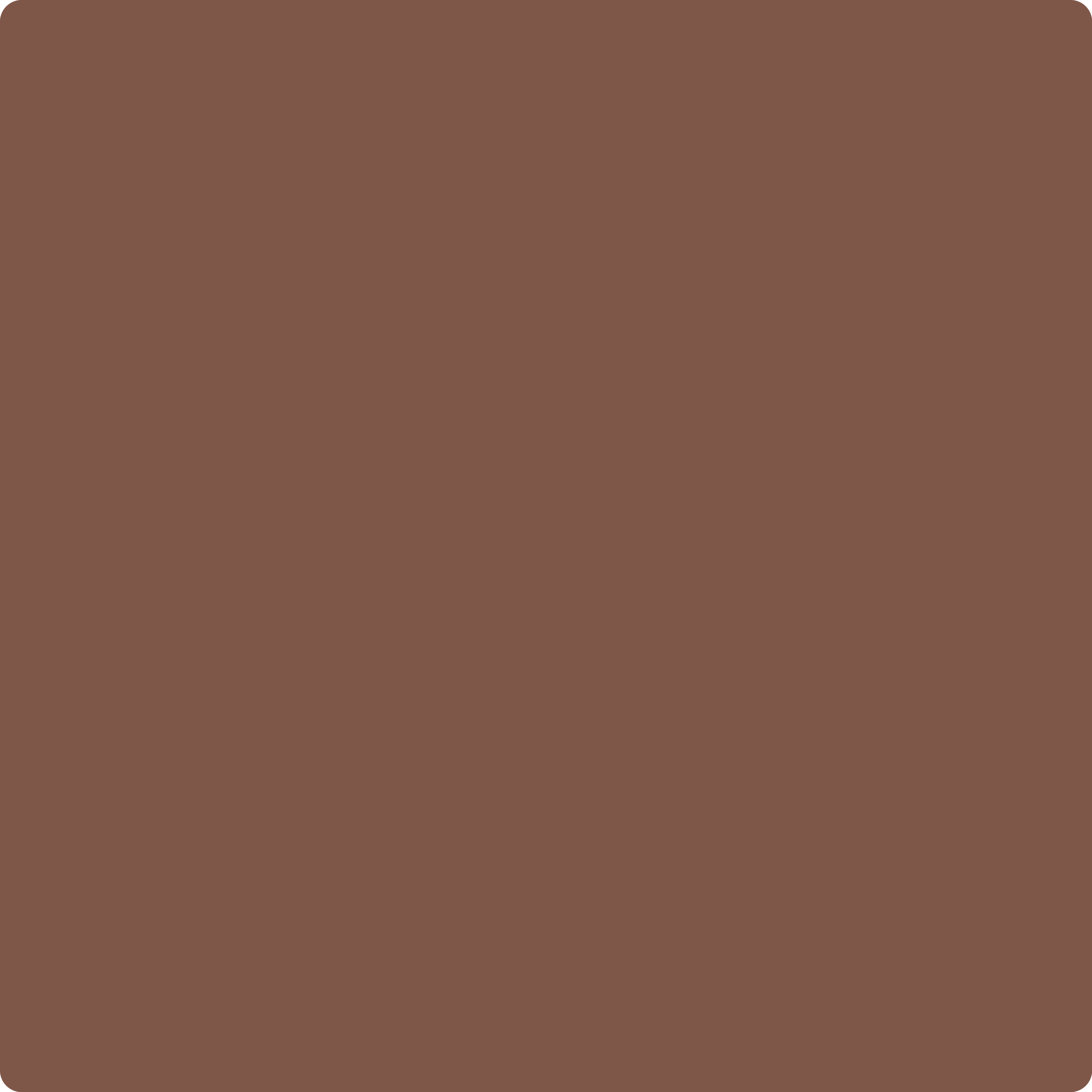 Benjamin Moore's 2100-30 English Brown| The Color House