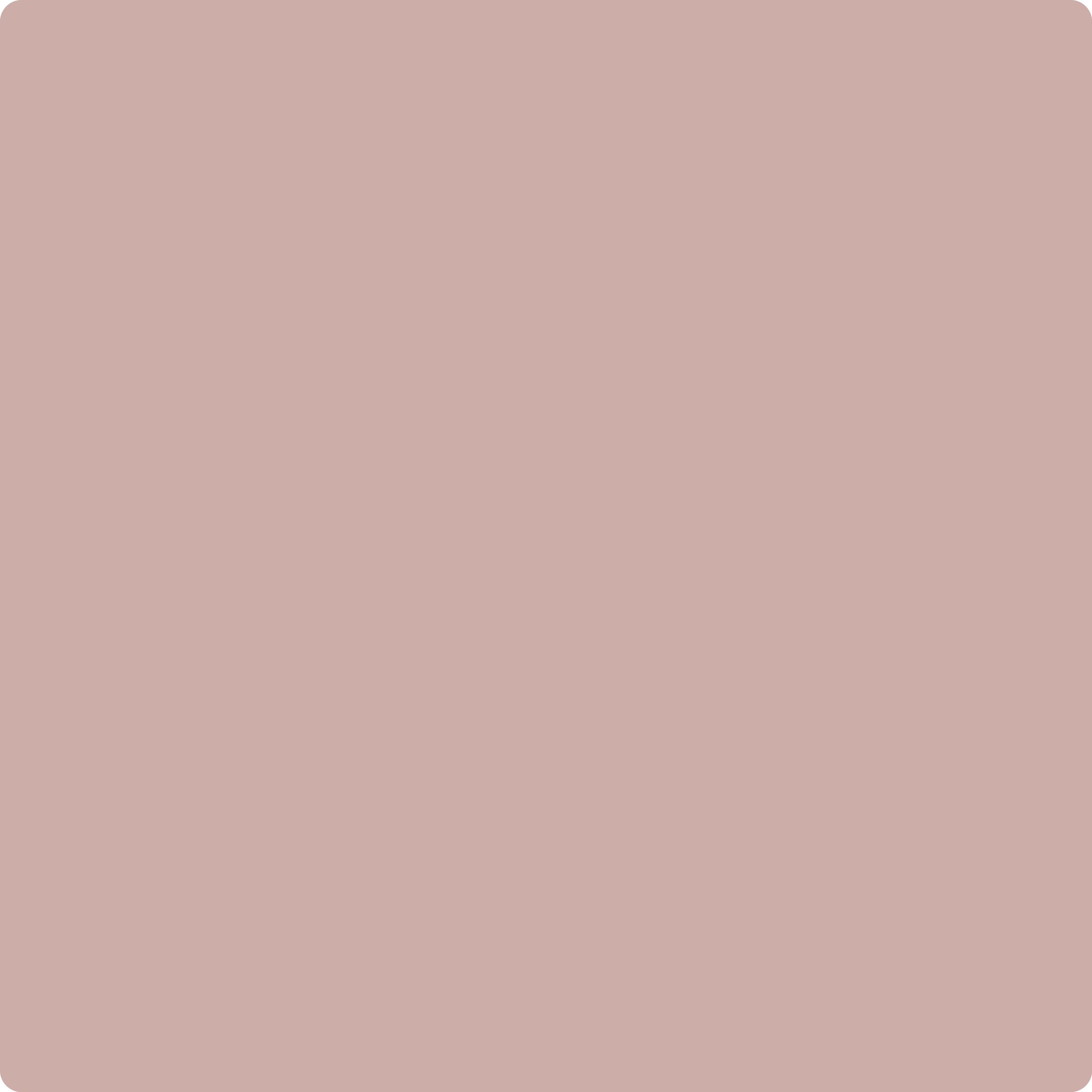 Benjamin Moore's 2102-50 Rose Bisque| The Color House