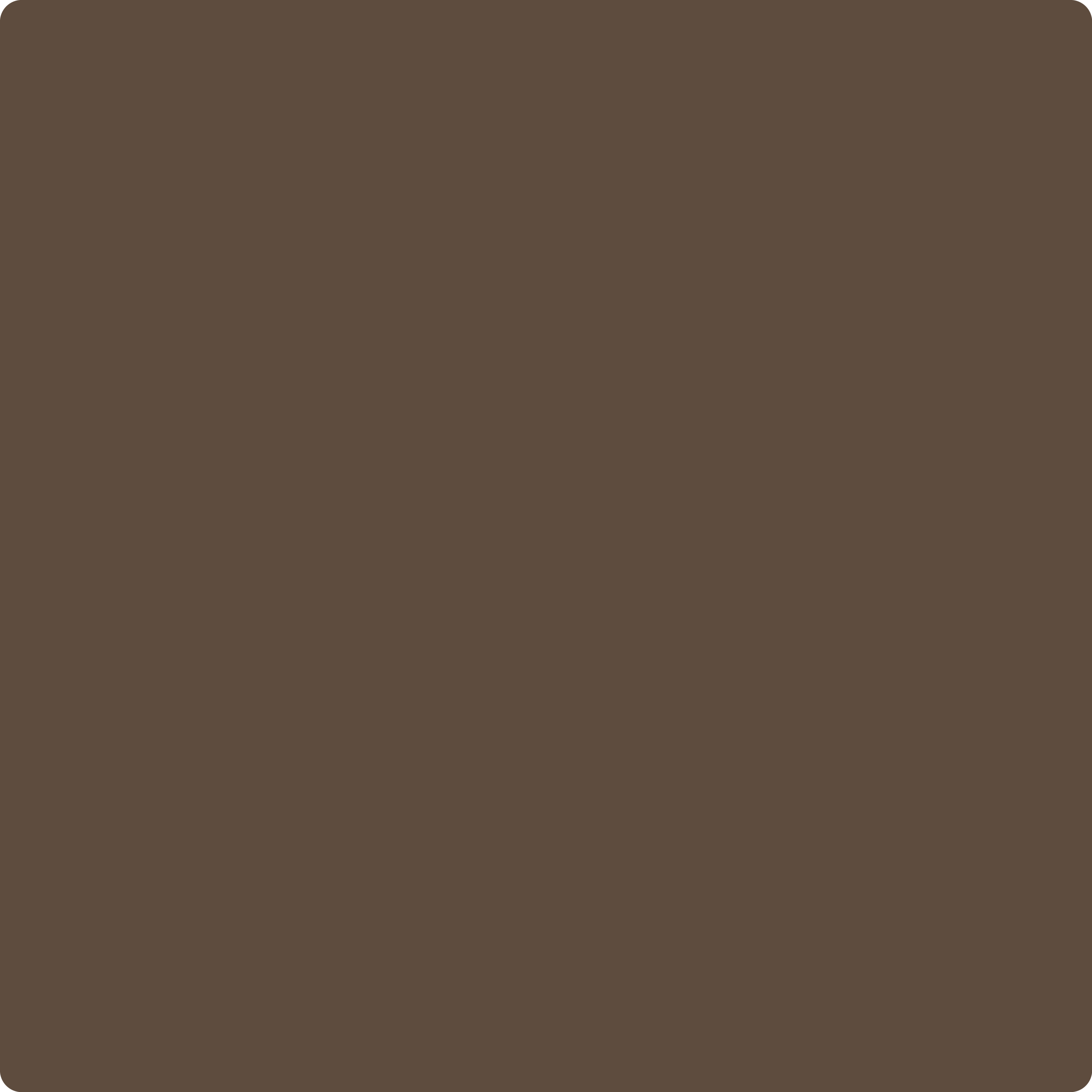 Benjamin Moore's 2108-10 Ferret Brown| The Color House
