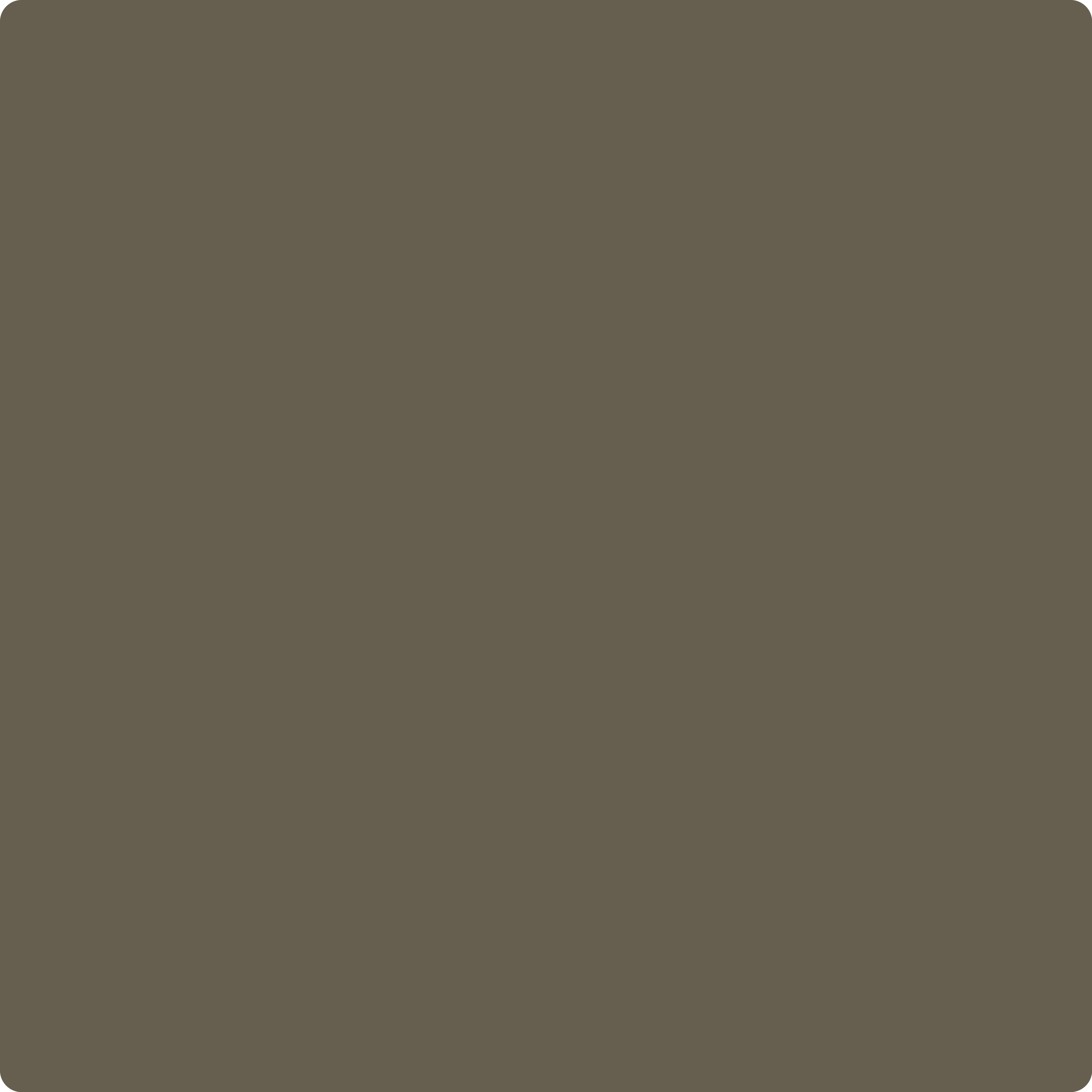 Benjamin Moore's 2137-30 Durango| The Color House
