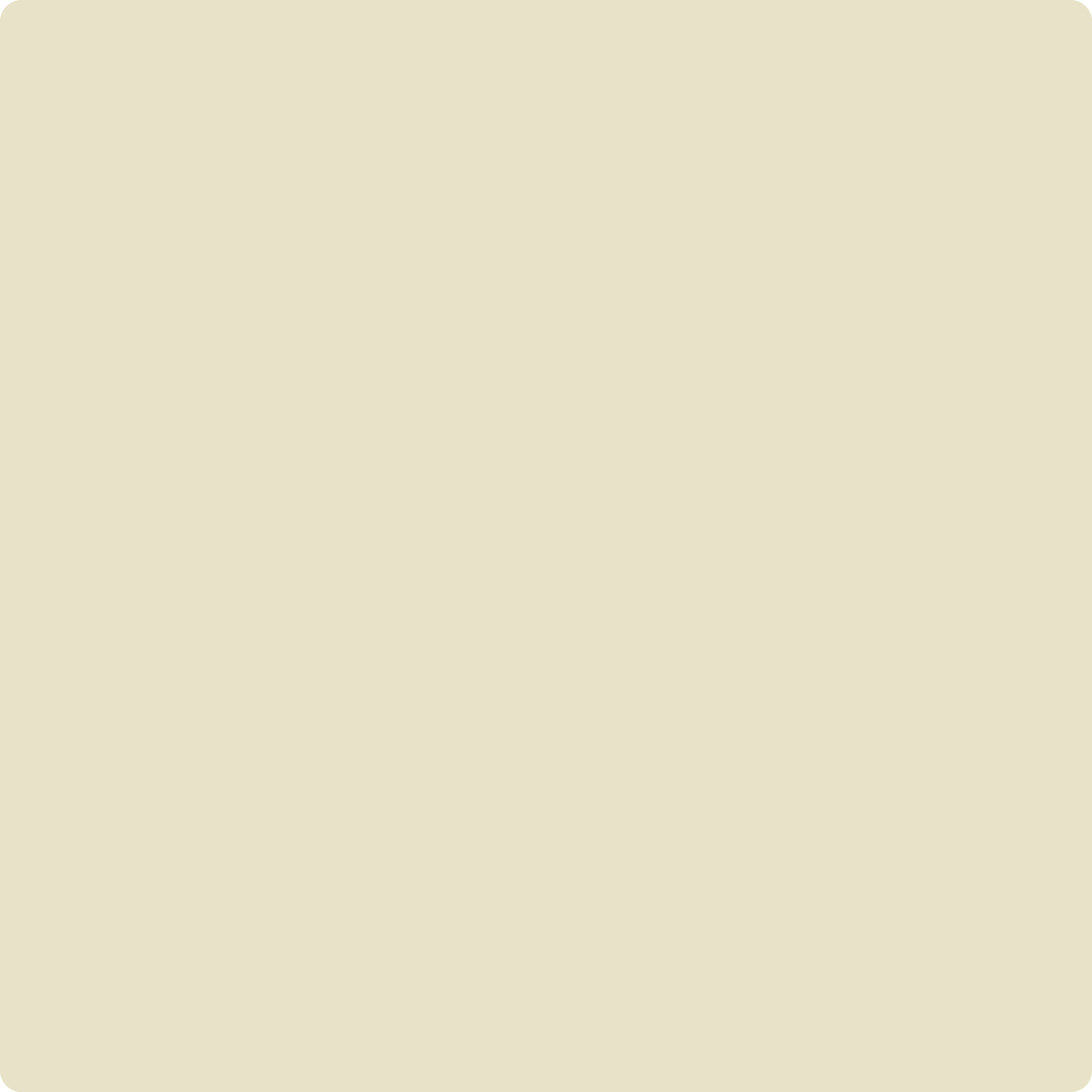 Benjamin Moore's 2148-50 Sandy White| The Color House