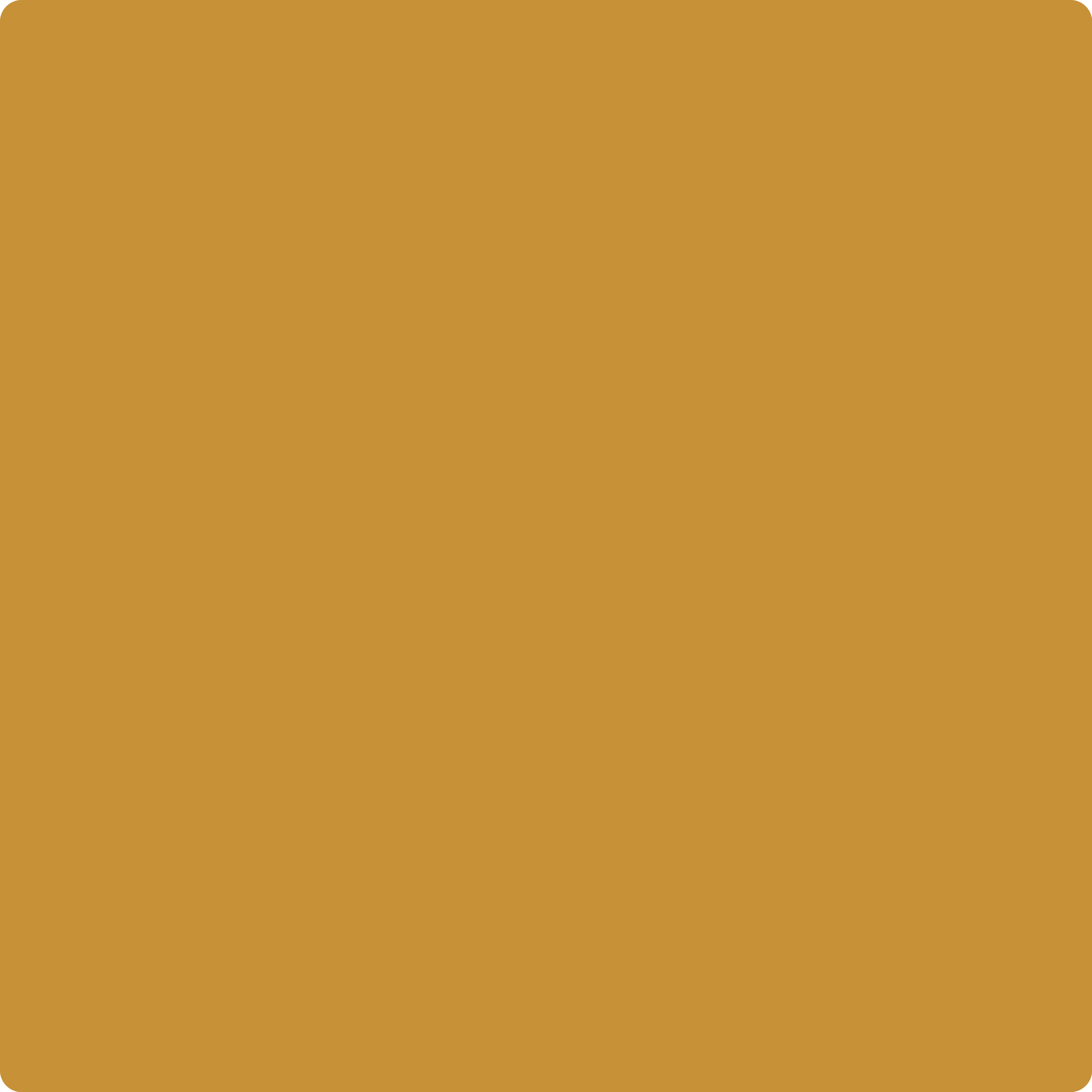 Benjamin Moore's 2154-10 Yellow Oxide| The Color House