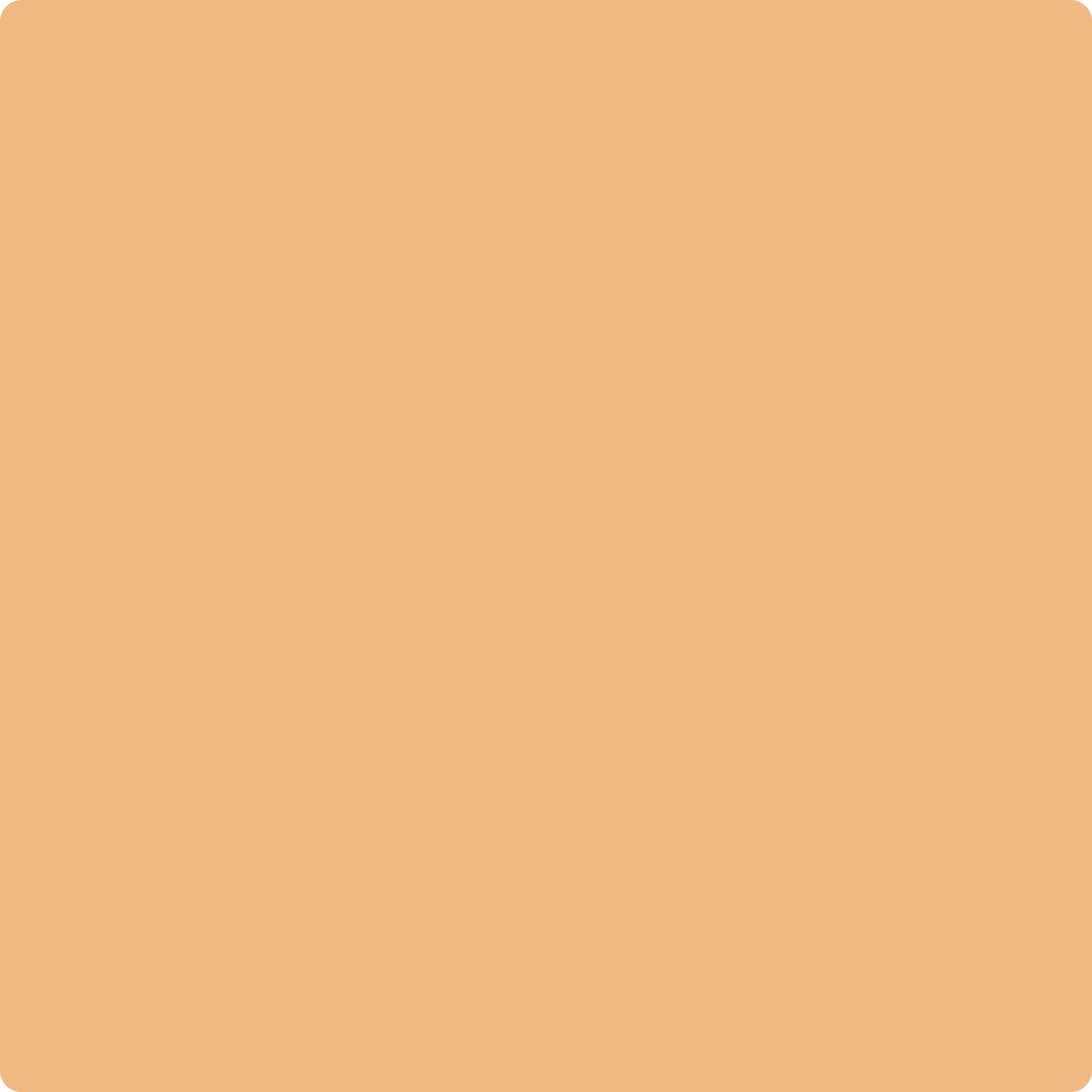 Benjamin Moore's 2157-40 Beeswax| The Color House