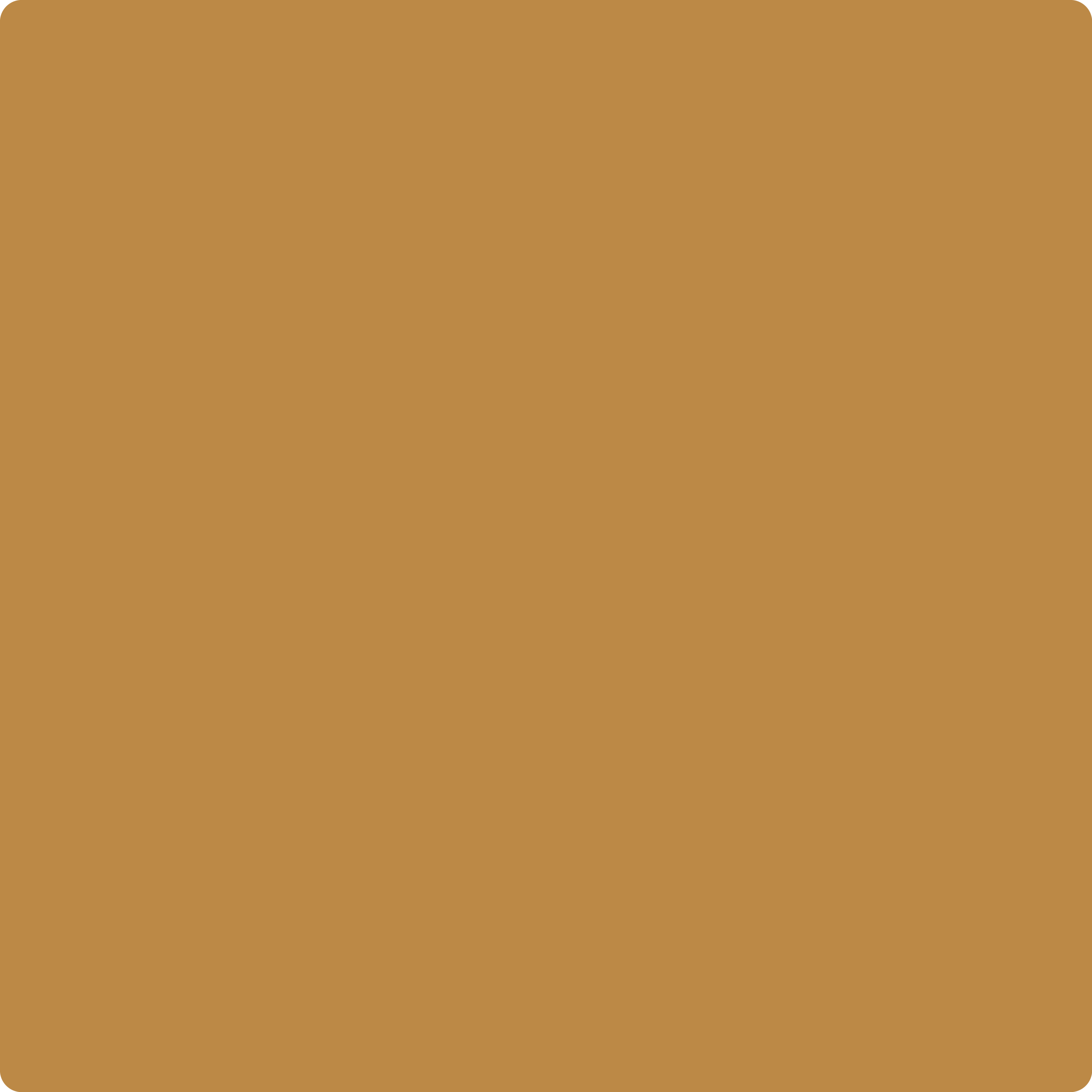 Benjamin Moore's 2160-20 Tumeric| The Color House
