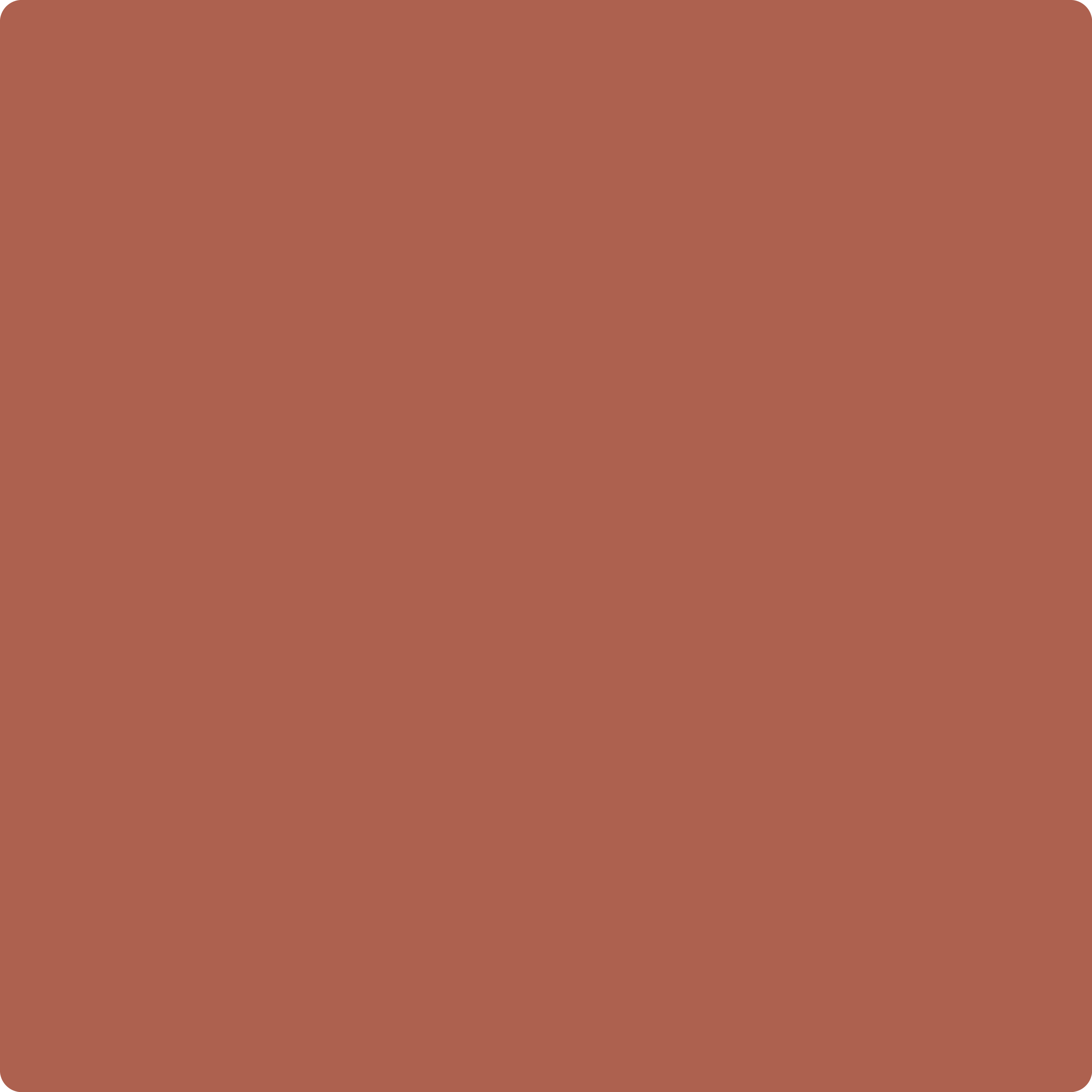 2174-30 Sedona Clay by Benjamin Moore | The Color House