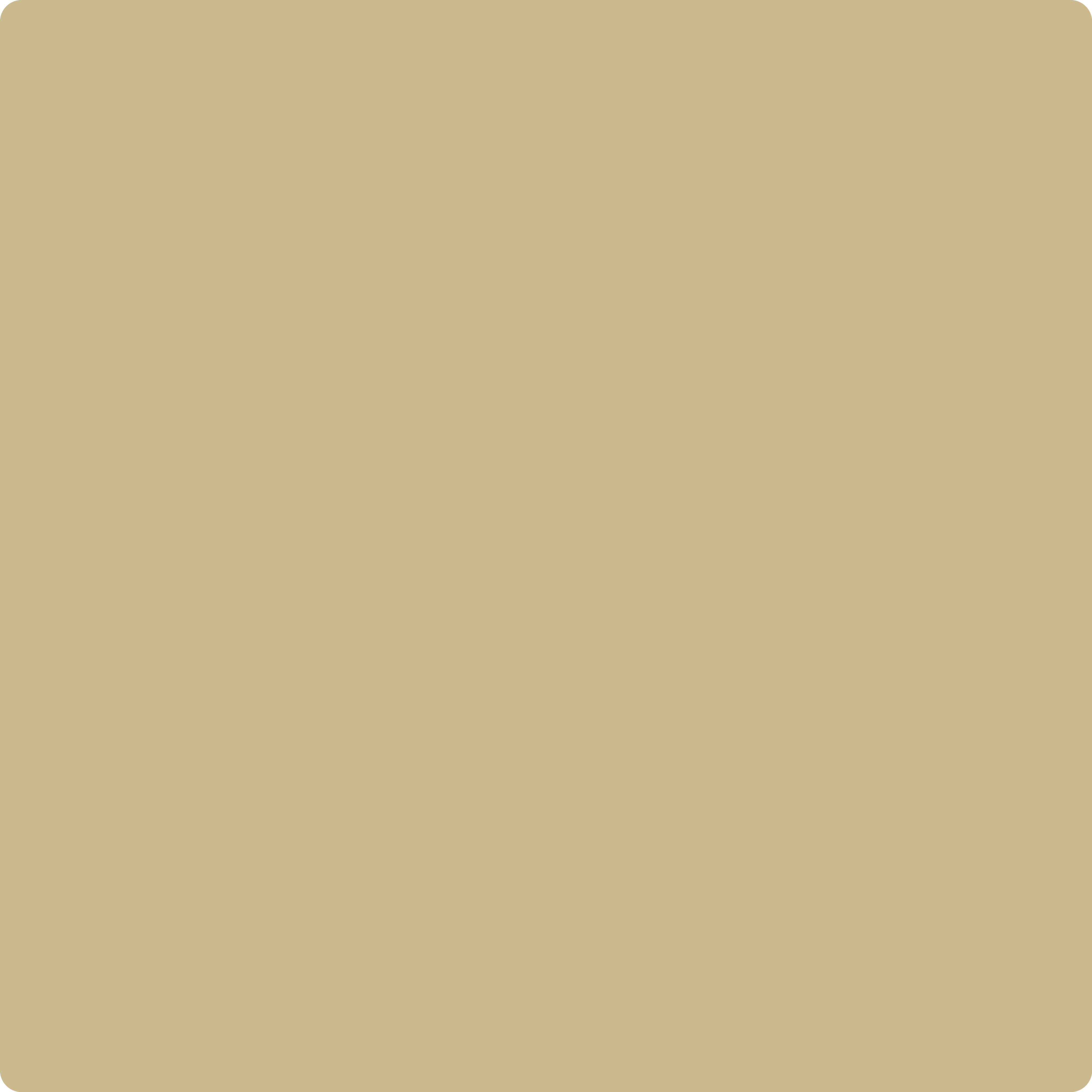 228 Shakespeare Tan by Benjamin Moore | The Color House