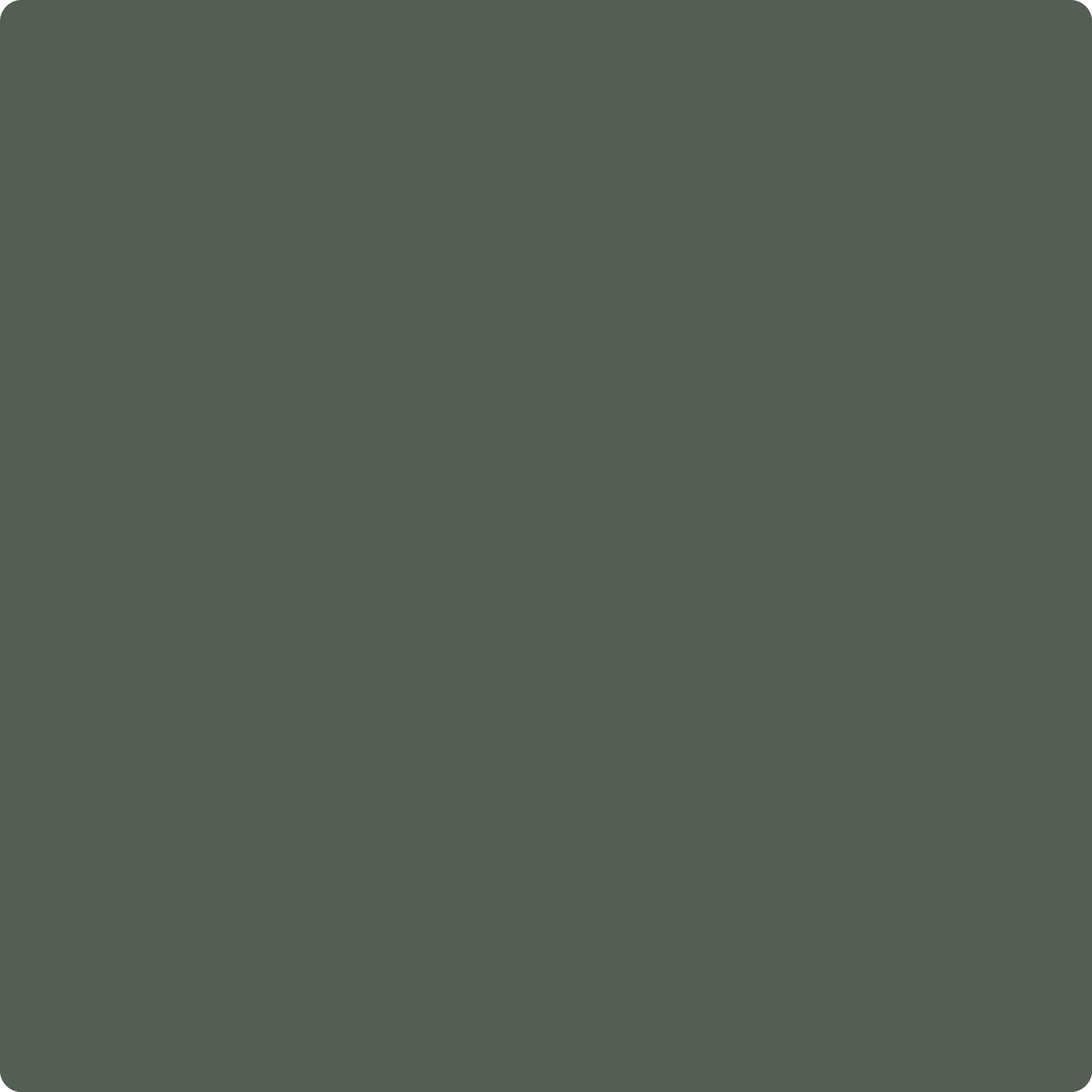448 Dakota Shadow by Benjamin Moore | The Color House