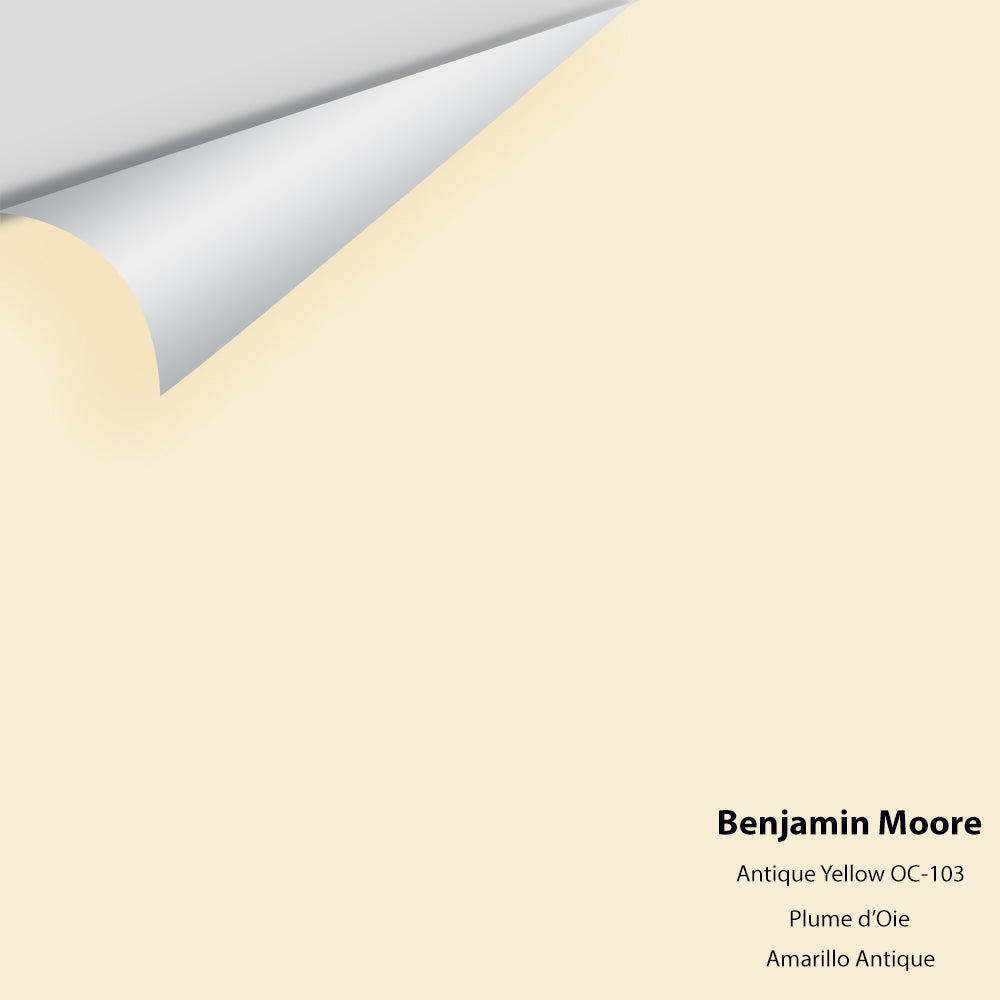 The Color House Benjamin Moore Peel & Stick Paint Samples