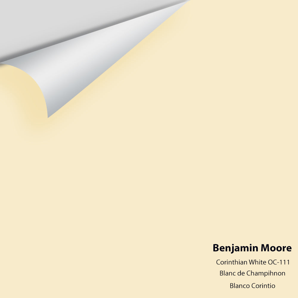 The Color House Benjamin Moore Peel & Stick Paint Samples