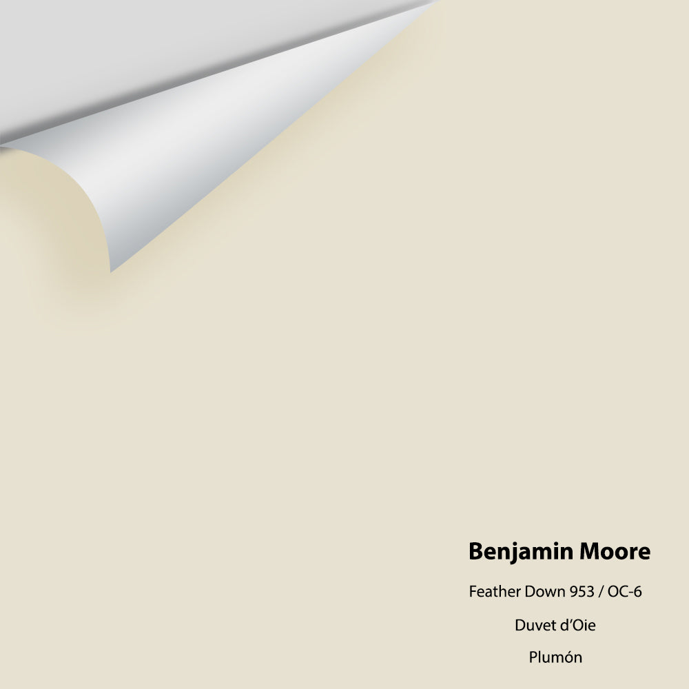 The Color House Benjamin Moore Peel & Stick Paint Samples