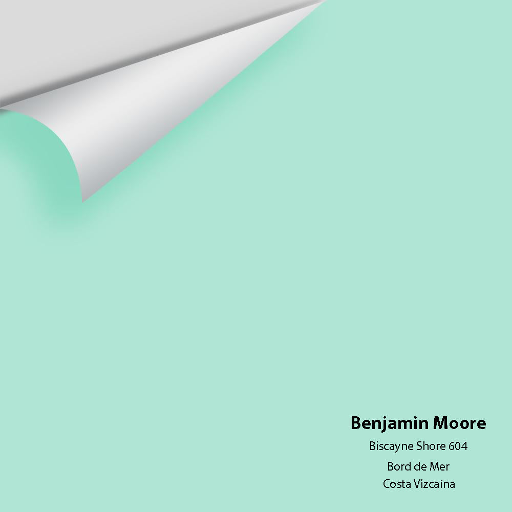 The Color House Benjamin Moore Peel & Stick Paint Samples