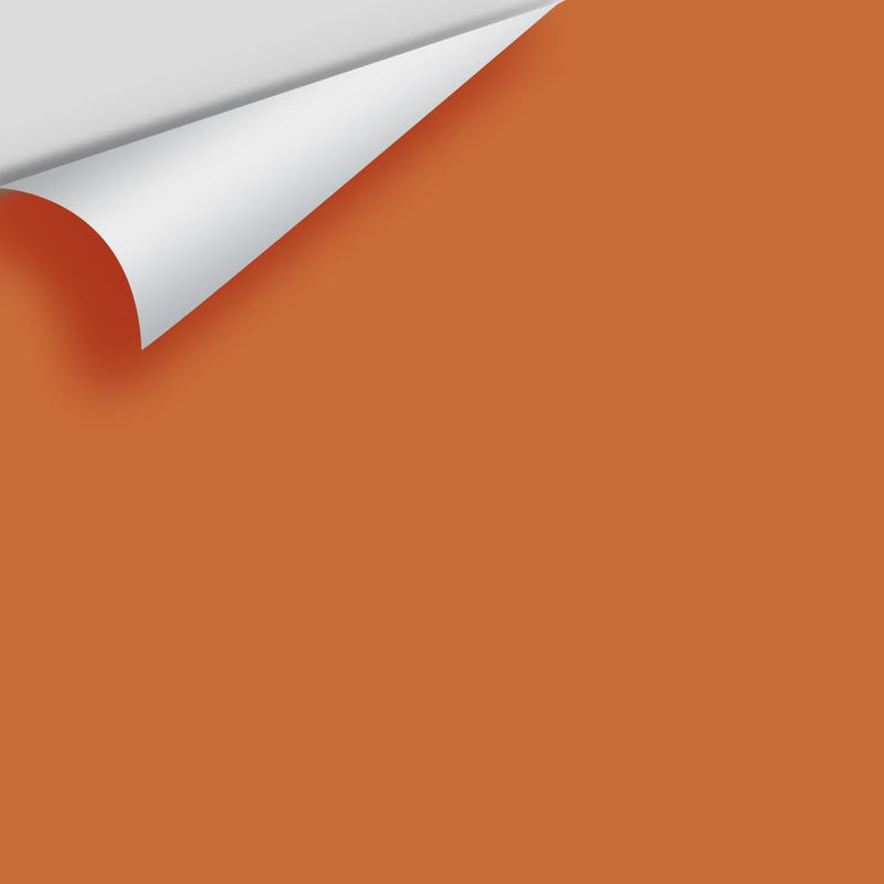 The Color House Benjamin Moore Peel & Stick Paint Samples