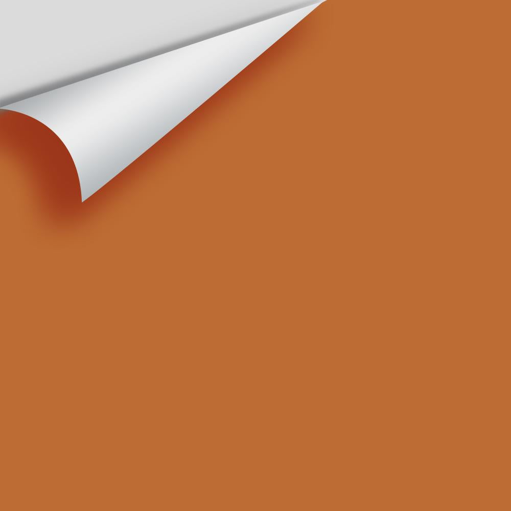 The Color House Benjamin Moore Peel & Stick Paint Samples – thecolorhouse