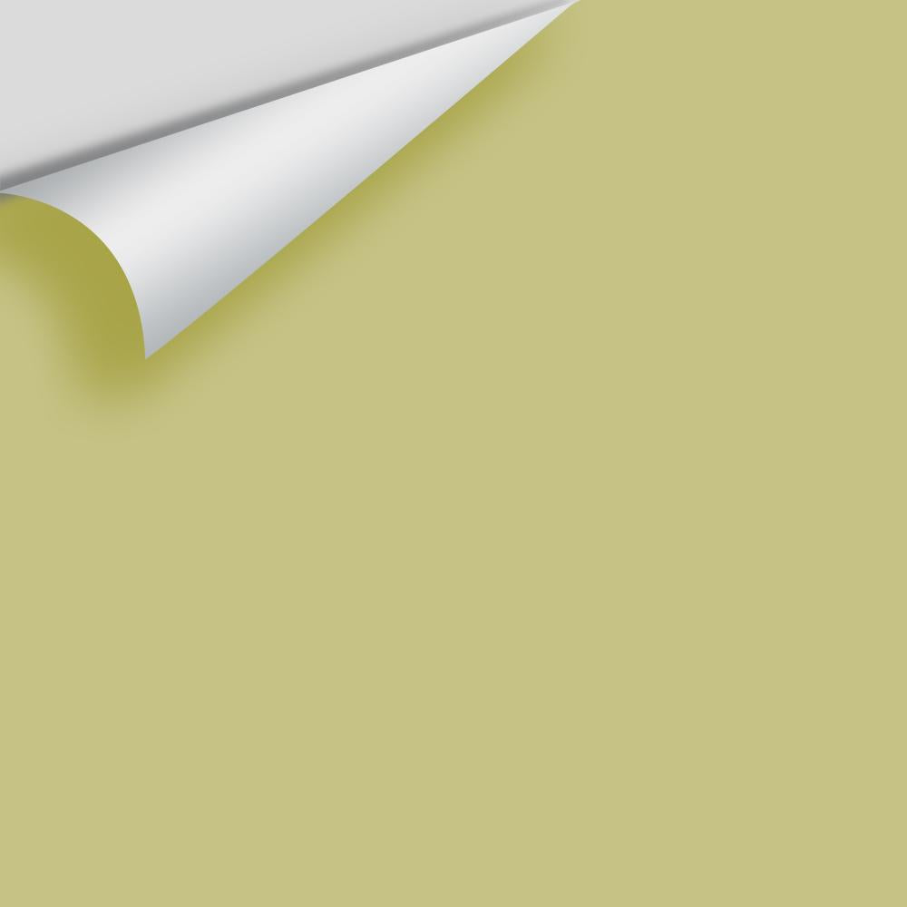 The Color House Benjamin Moore Peel & Stick Paint Samples