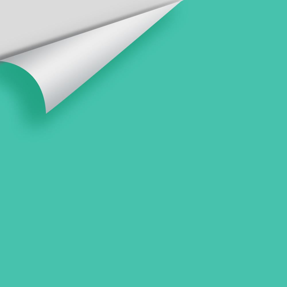 The Color House Benjamin Moore Peel & Stick Paint Samples – thecolorhouse