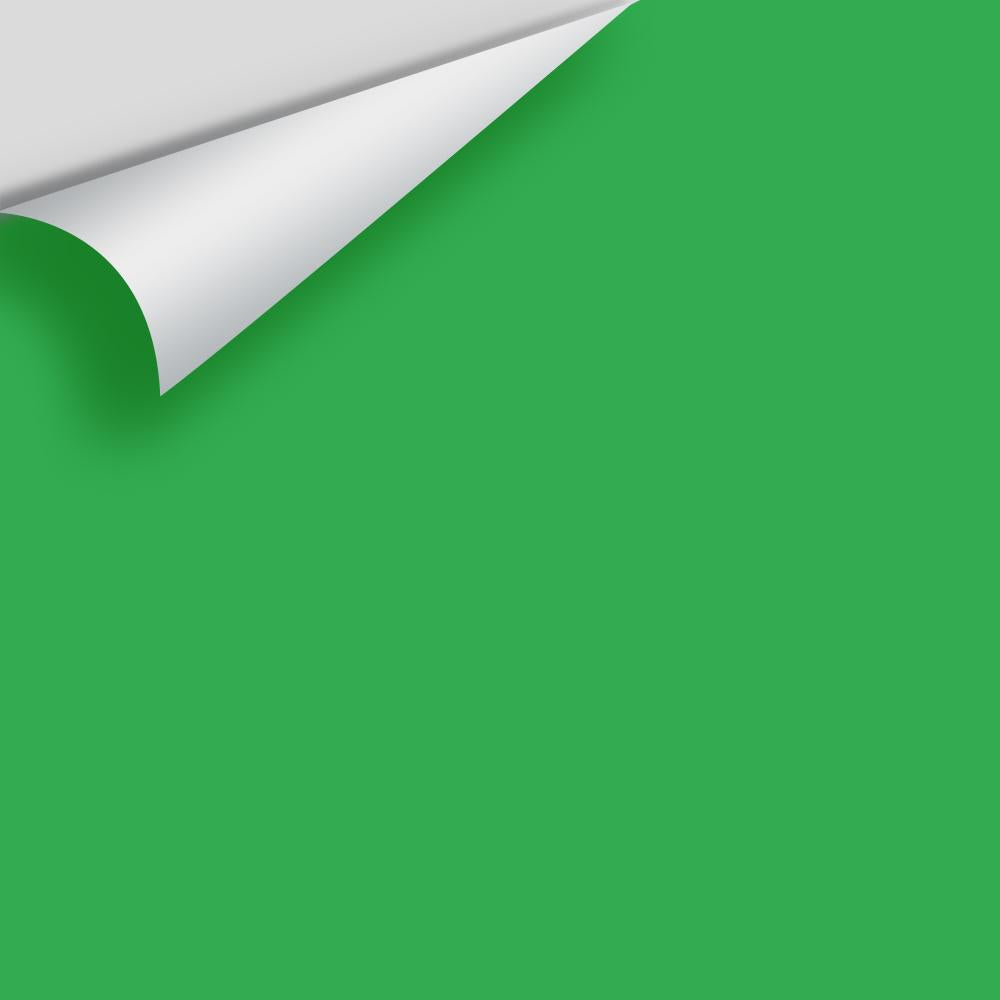 The Color House Benjamin Moore Peel & Stick Paint Samples