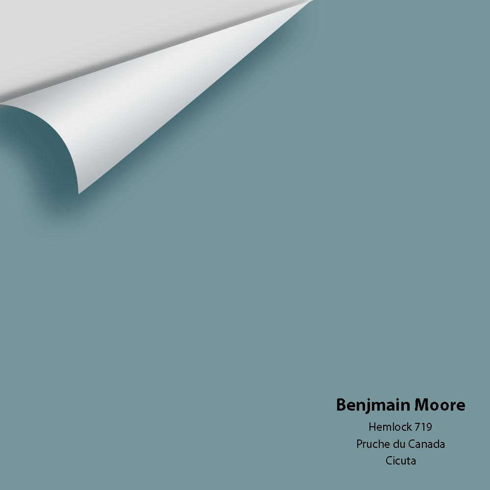 The Color House Benjamin Moore Peel & Stick Paint Samples