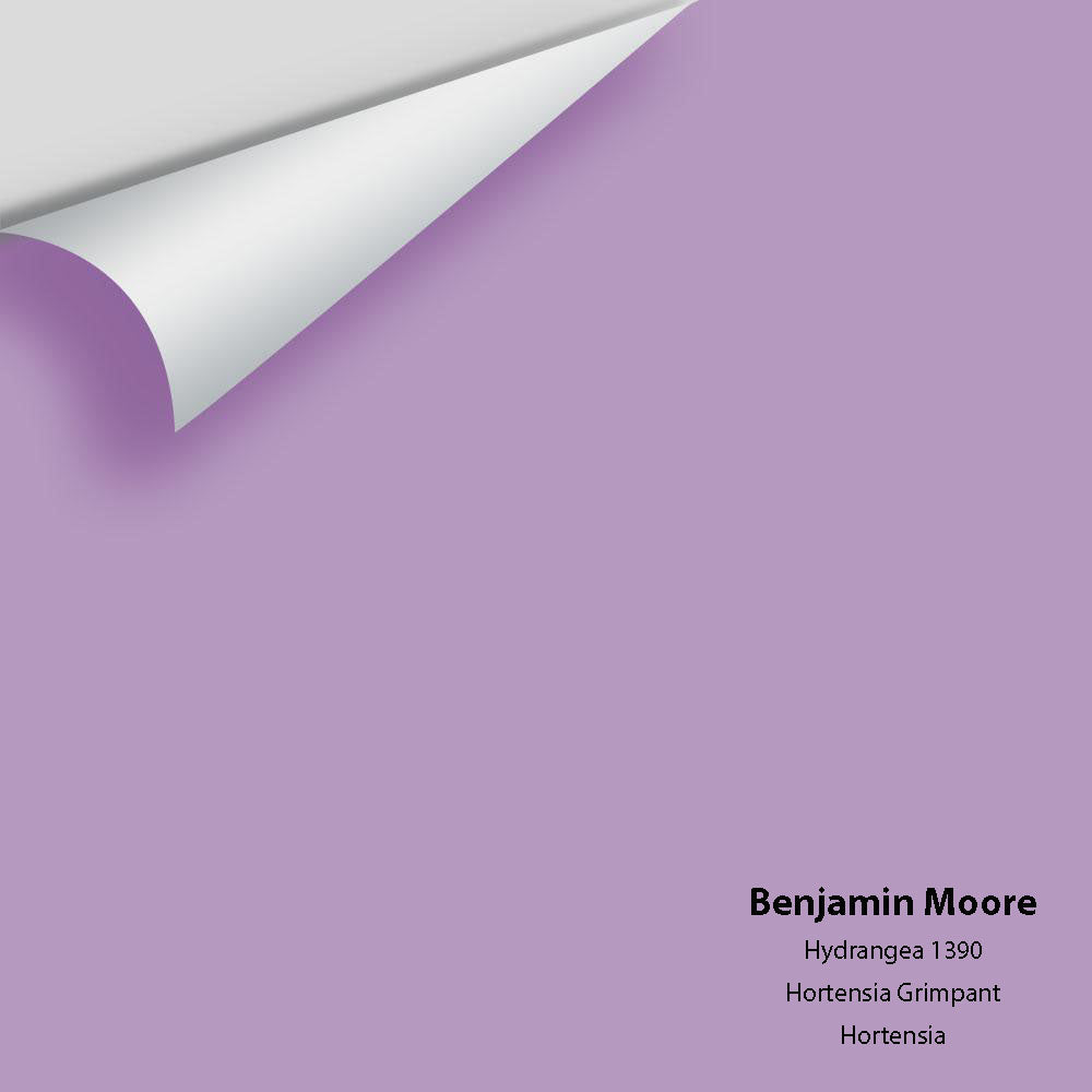 The Color House Benjamin Moore Peel & Stick Paint Samples – thecolorhouse