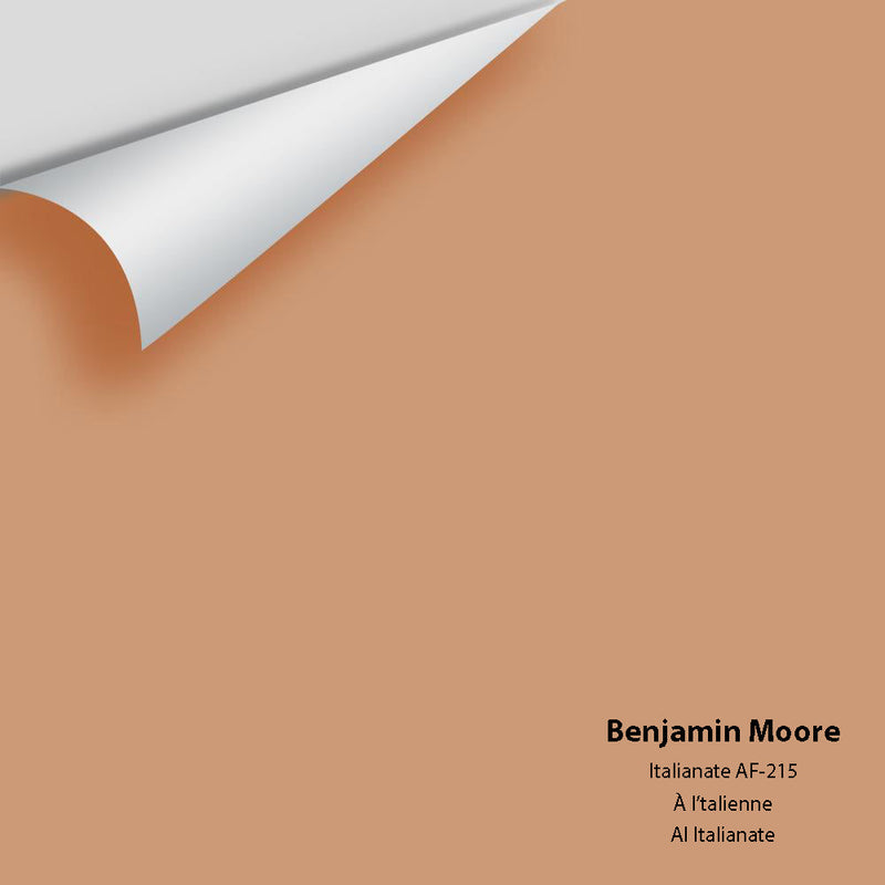 The Color House Benjamin Moore Peel & Stick Paint Samples