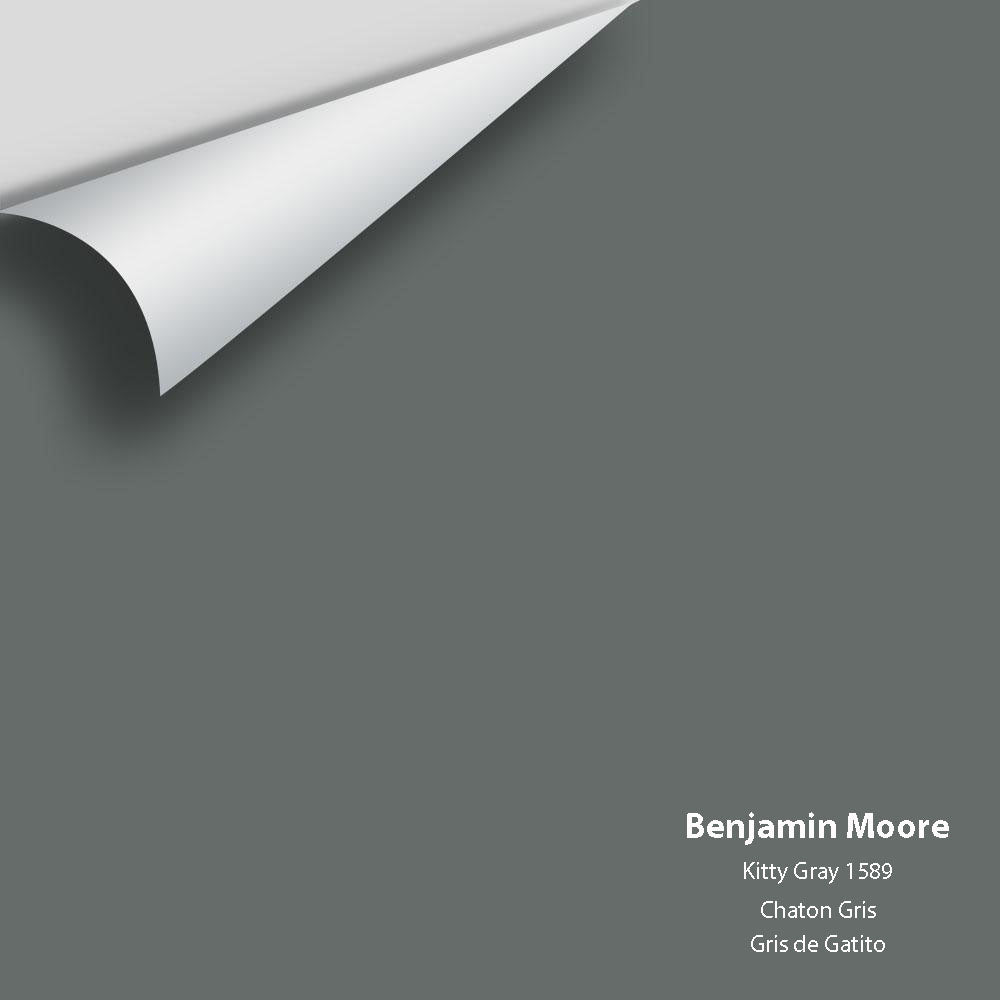 The Color House Benjamin Moore Peel & Stick Paint Samples