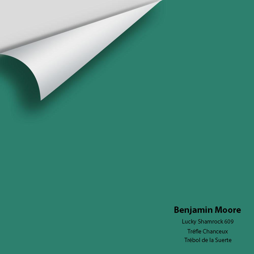 The Color House Benjamin Moore Peel & Stick Paint Samples