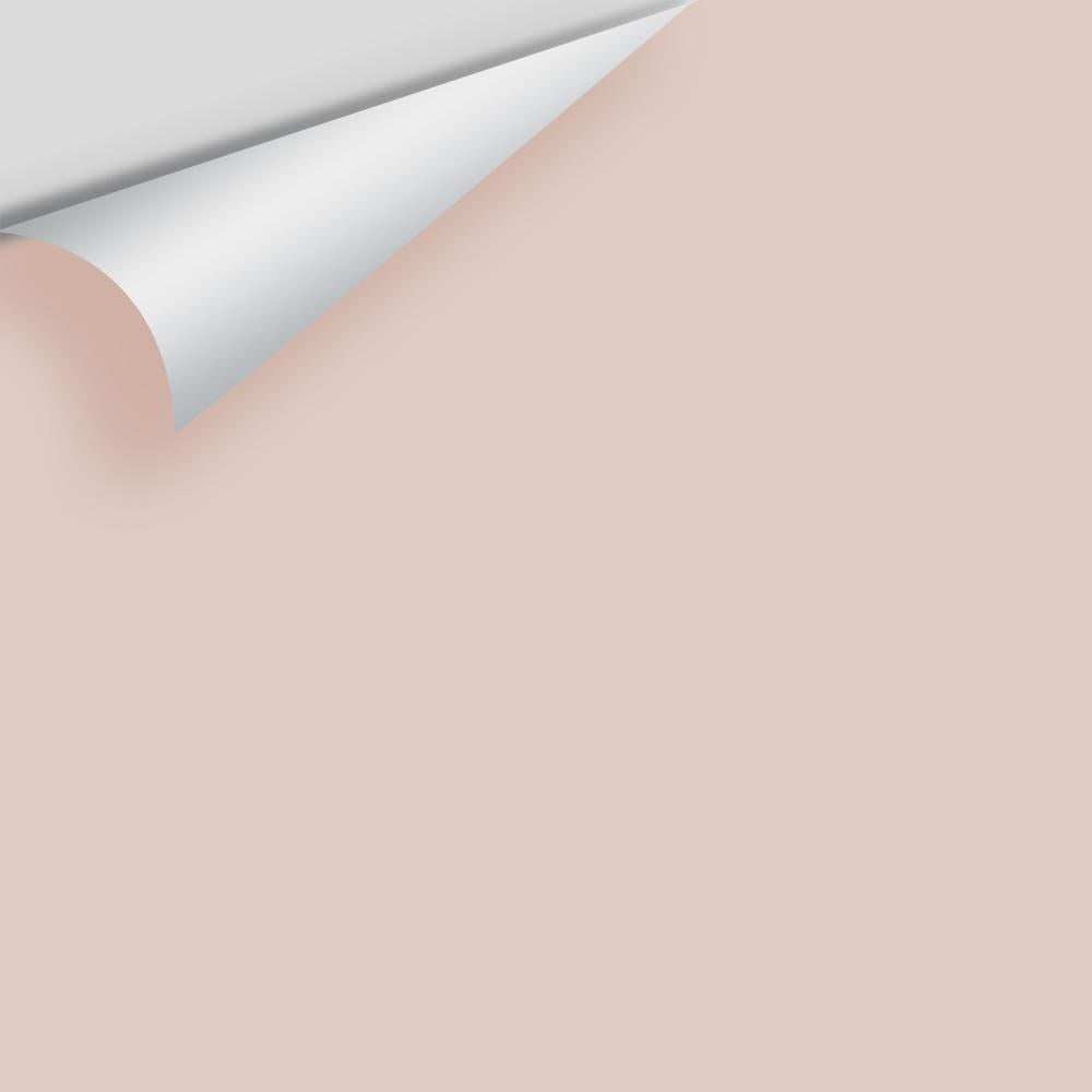 The Color House Benjamin Moore Peel & Stick Paint Samples