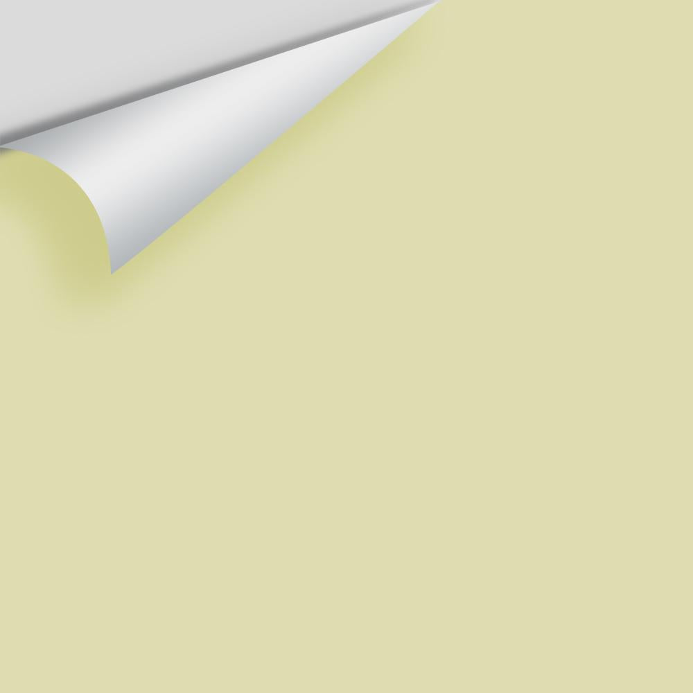 The Color House Benjamin Moore Peel & Stick Paint Samples