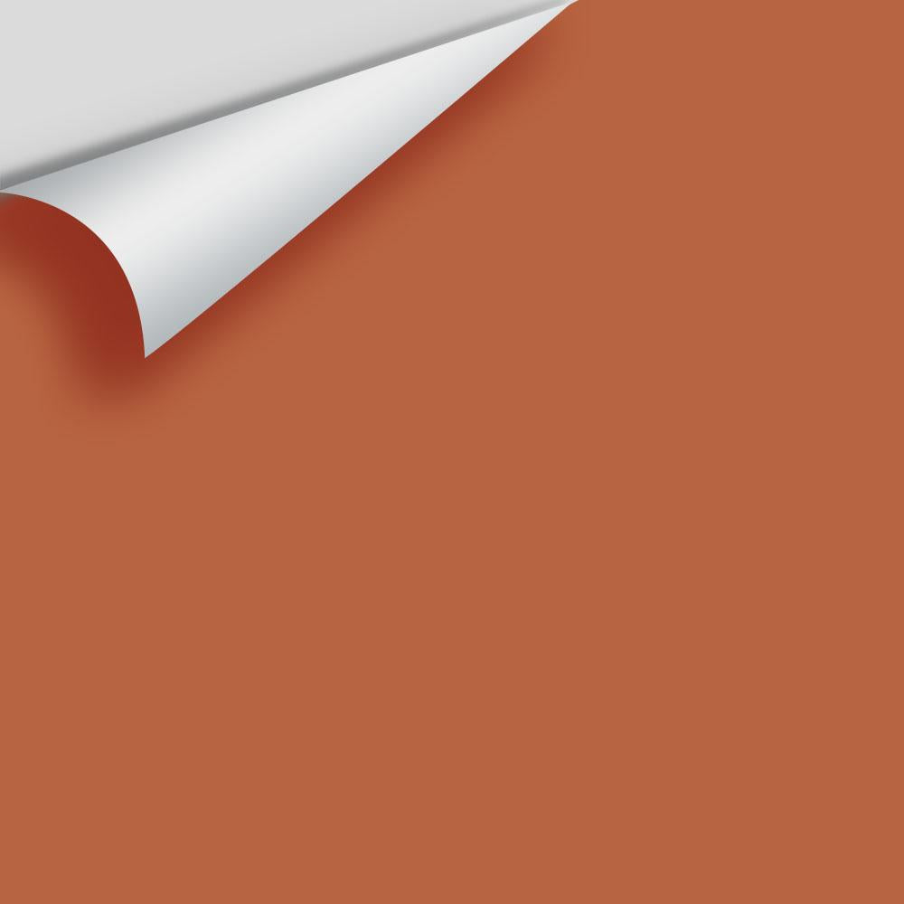 The Color House Benjamin Moore Peel & Stick Paint Samples