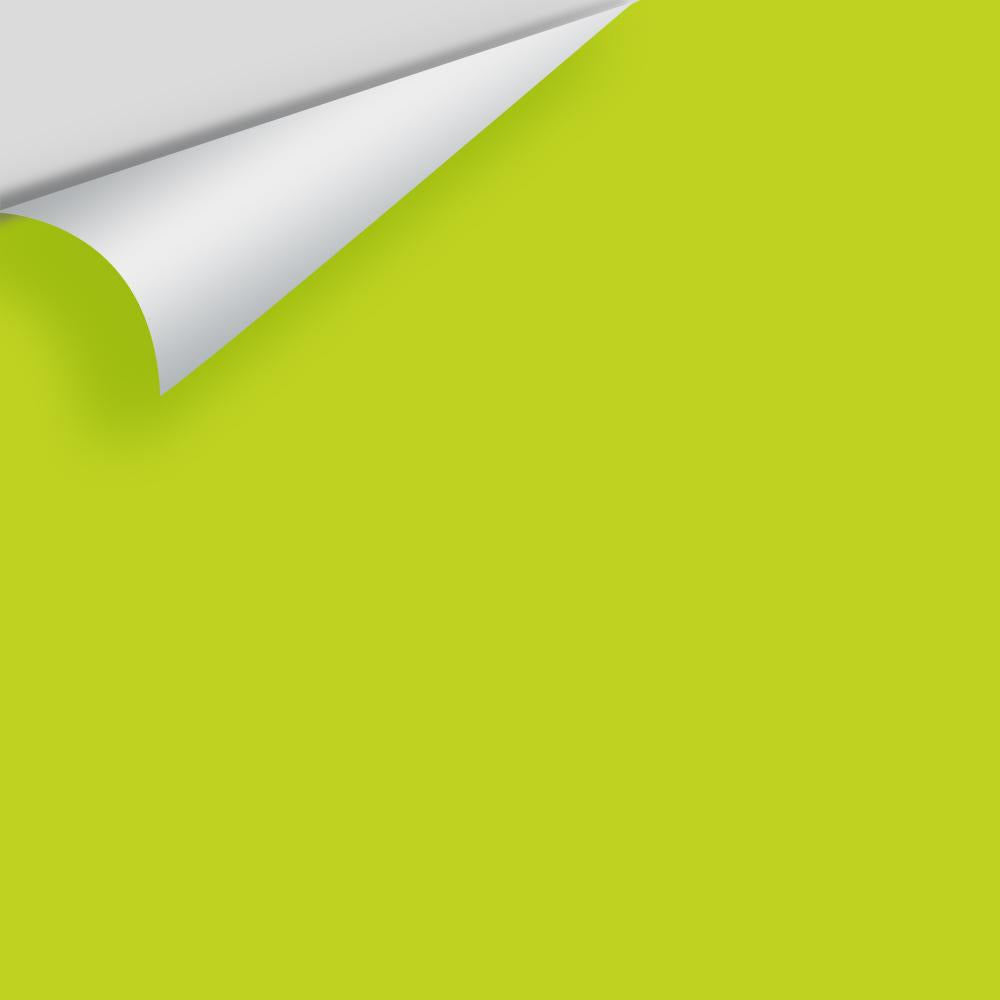 The Color House Benjamin Moore Peel & Stick Paint Samples