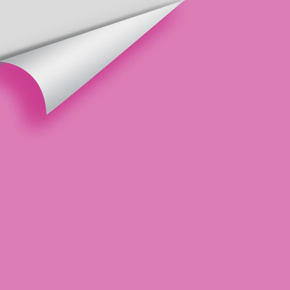 The Color House Benjamin Moore Peel & Stick Paint Samples