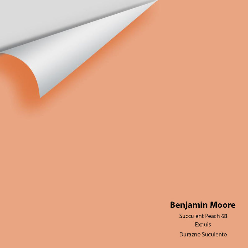 The Color House Benjamin Moore Peel & Stick Paint Samples – thecolorhouse
