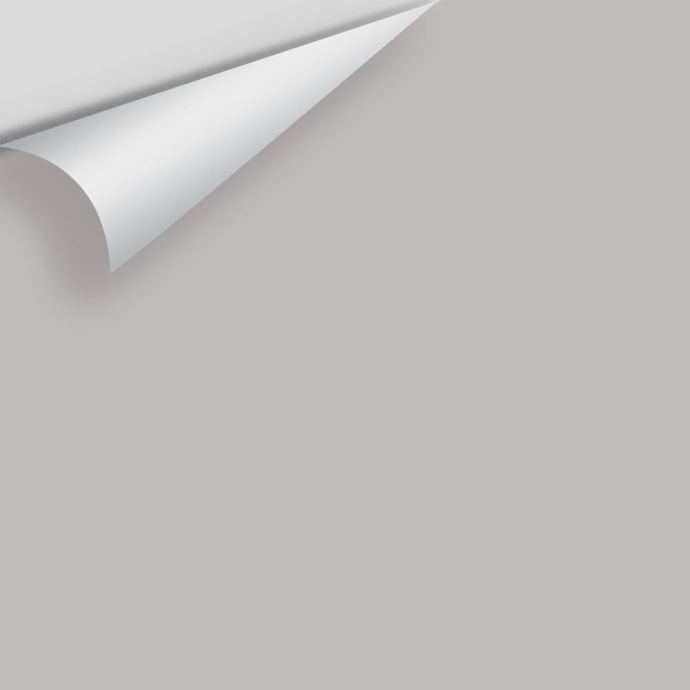 The Color House Benjamin Moore Peel & Stick Paint Samples