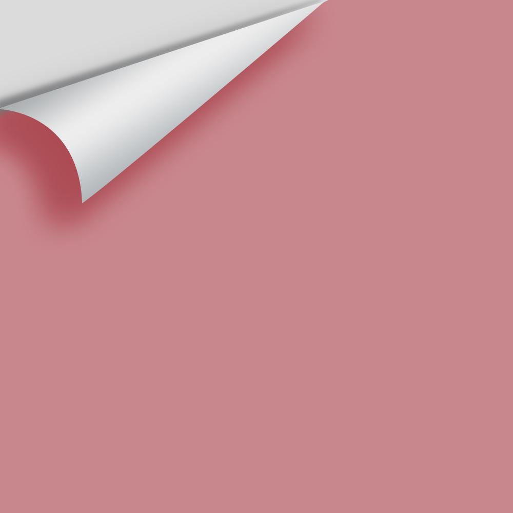 The Color House Benjamin Moore Peel & Stick Paint Samples