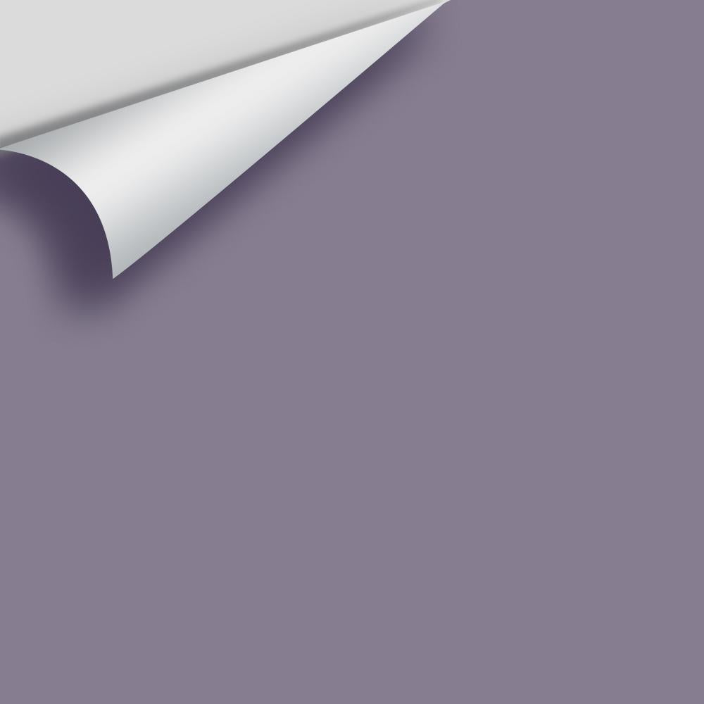 The Color House Benjamin Moore Peel & Stick Paint Samples