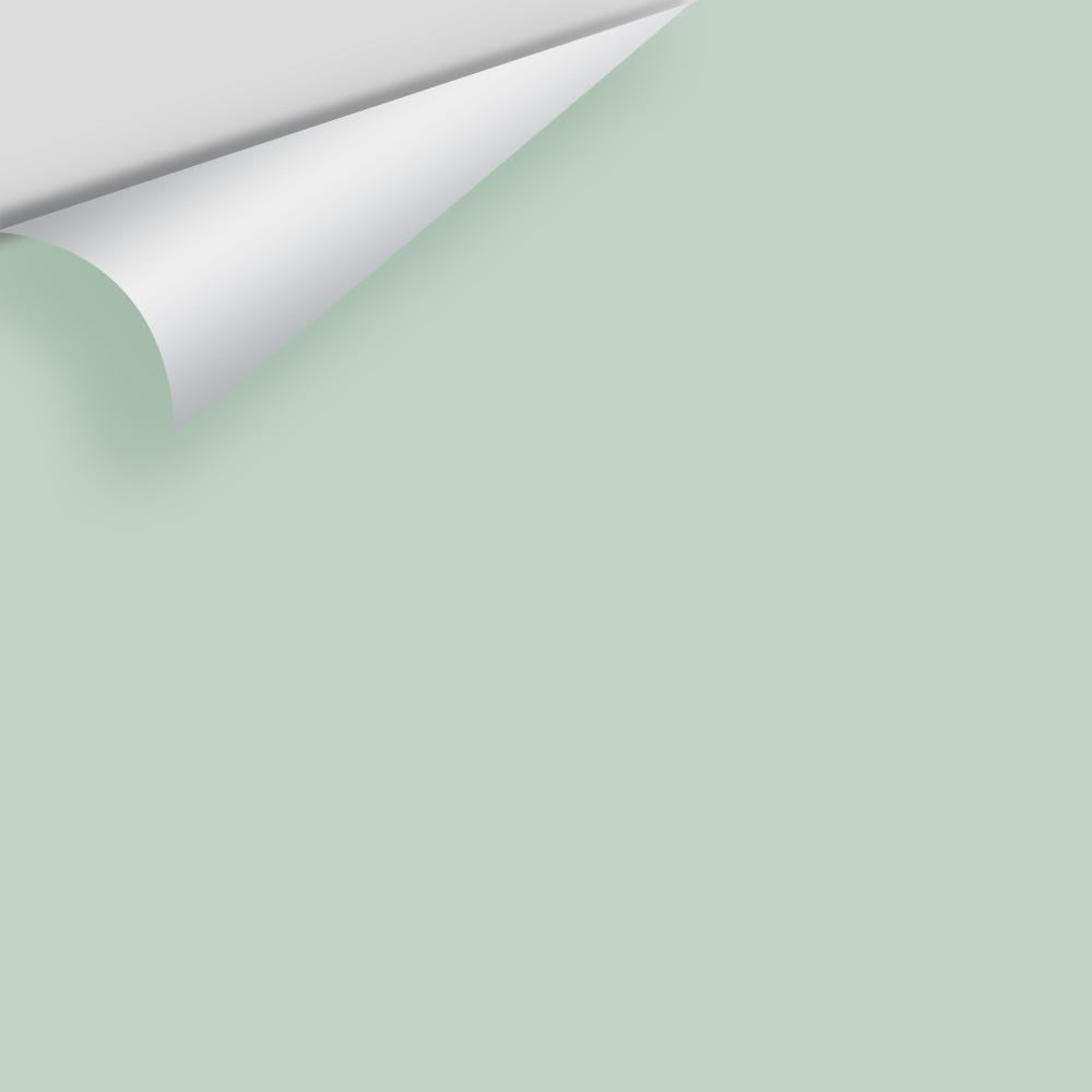 The Color House Benjamin Moore Peel & Stick Paint Samples