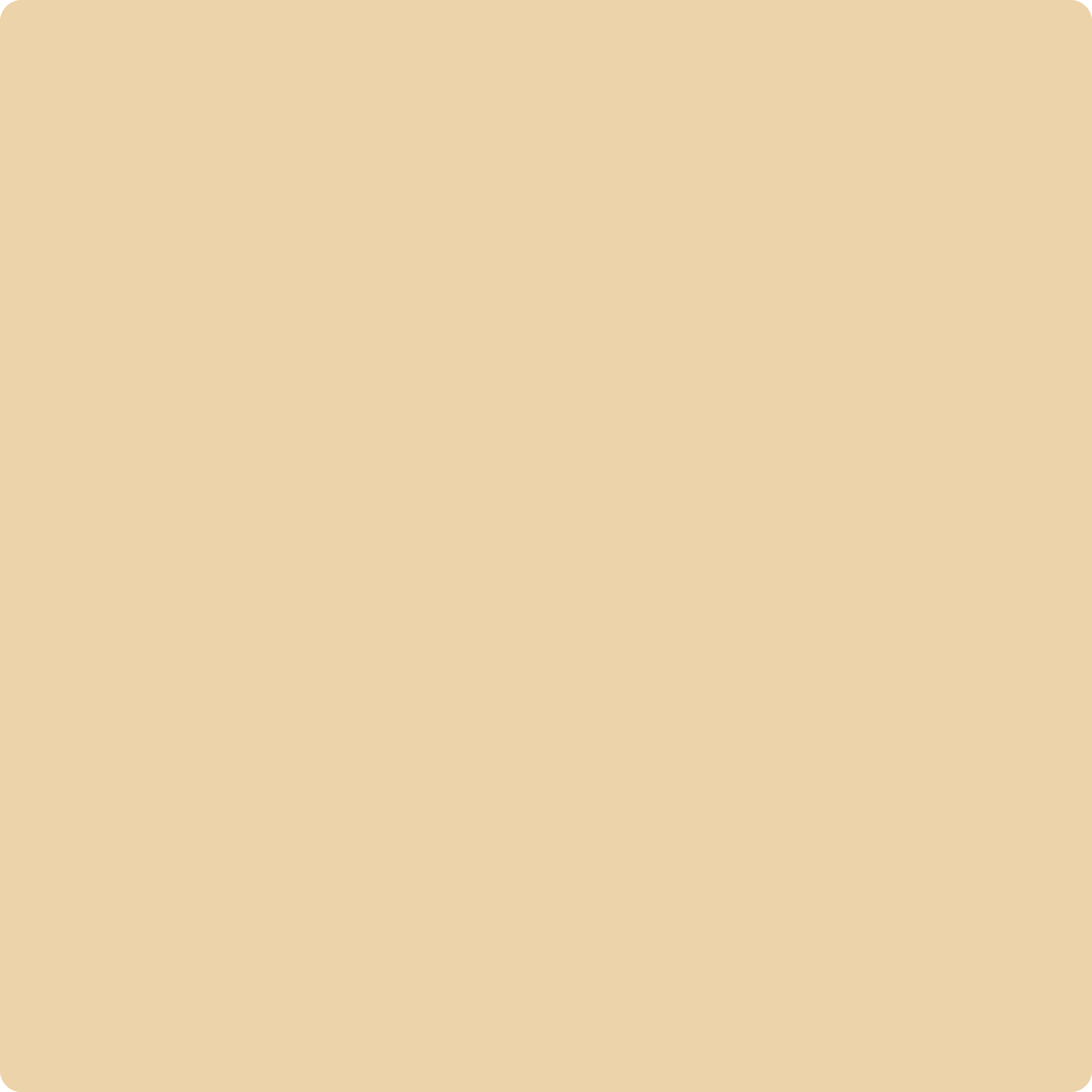 Benjamin Moore's AF-335 Safari | The Color House