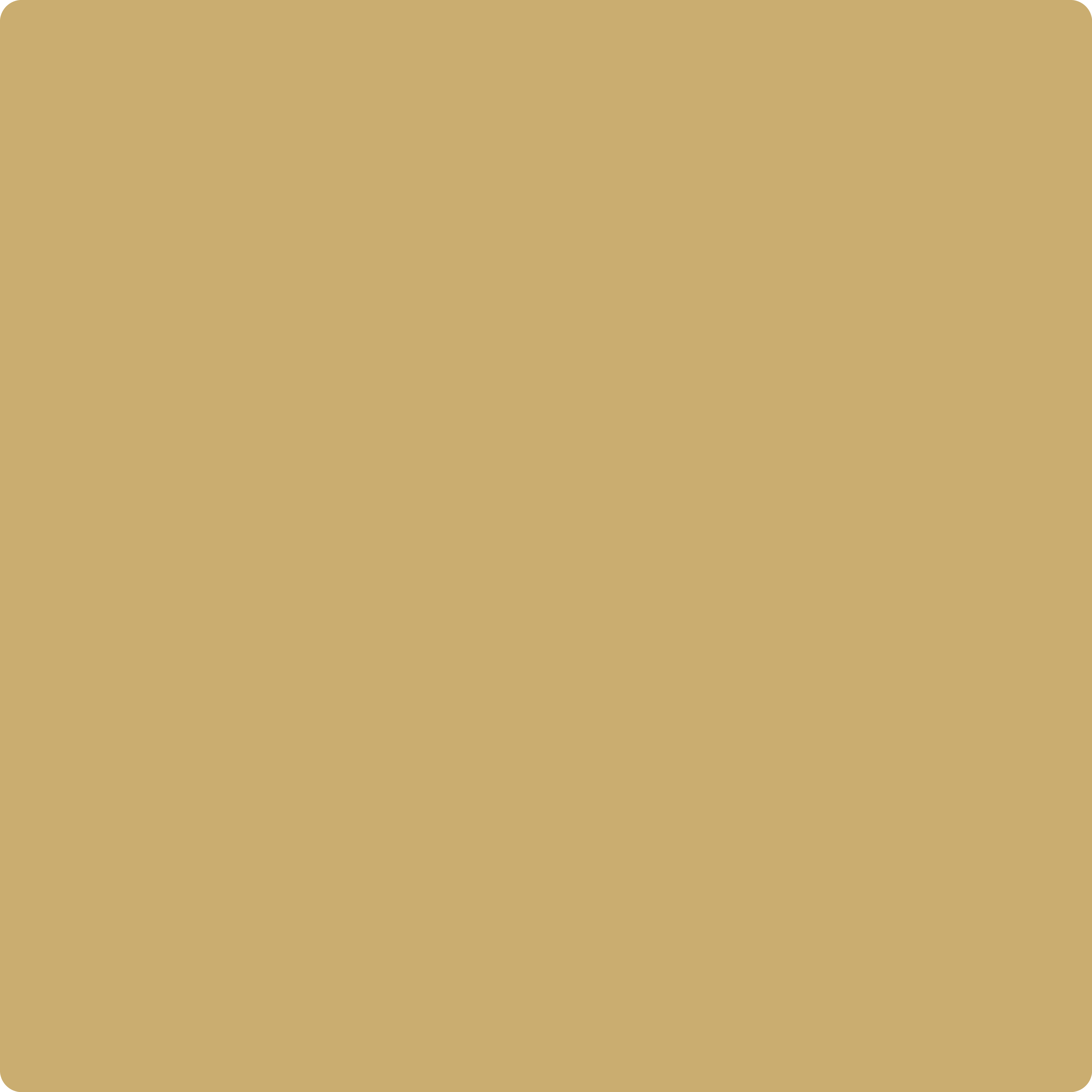 Benjamin Moore's AF-370 Citrine | The Color House
