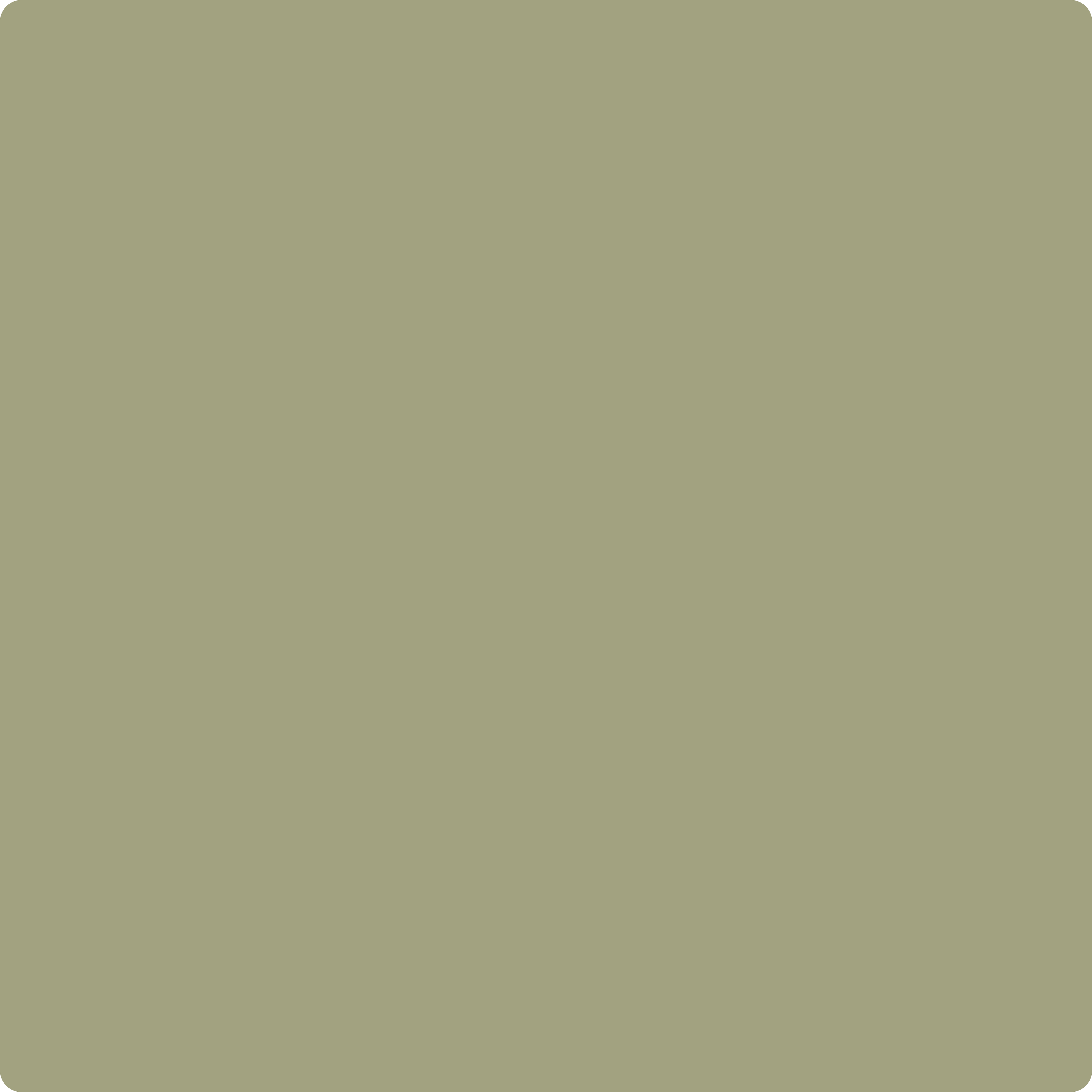 Benjamin Moore's AF-405 Thicket | The Color House