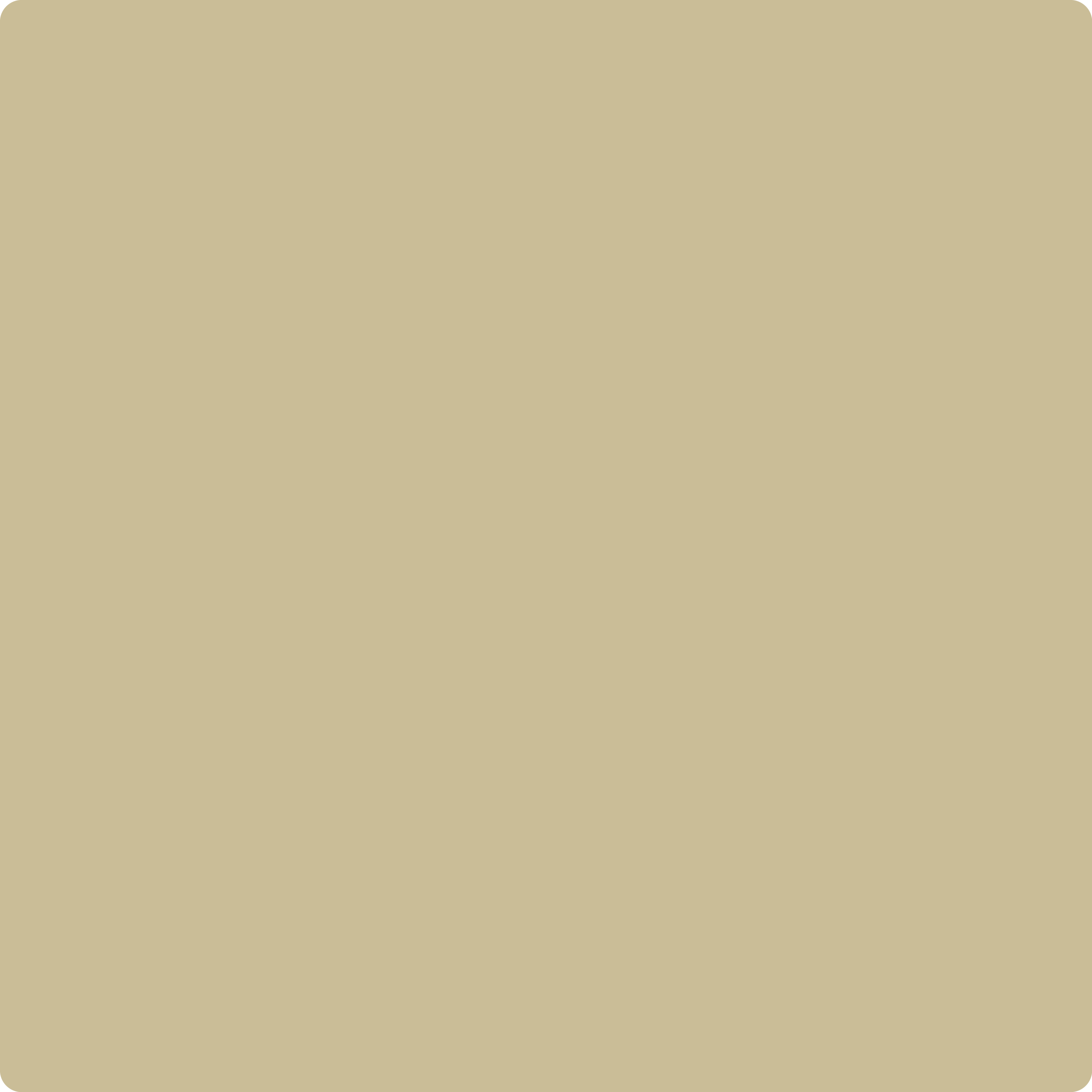 Benjamin Moore CSP-1000 Garden Stone| The Color House